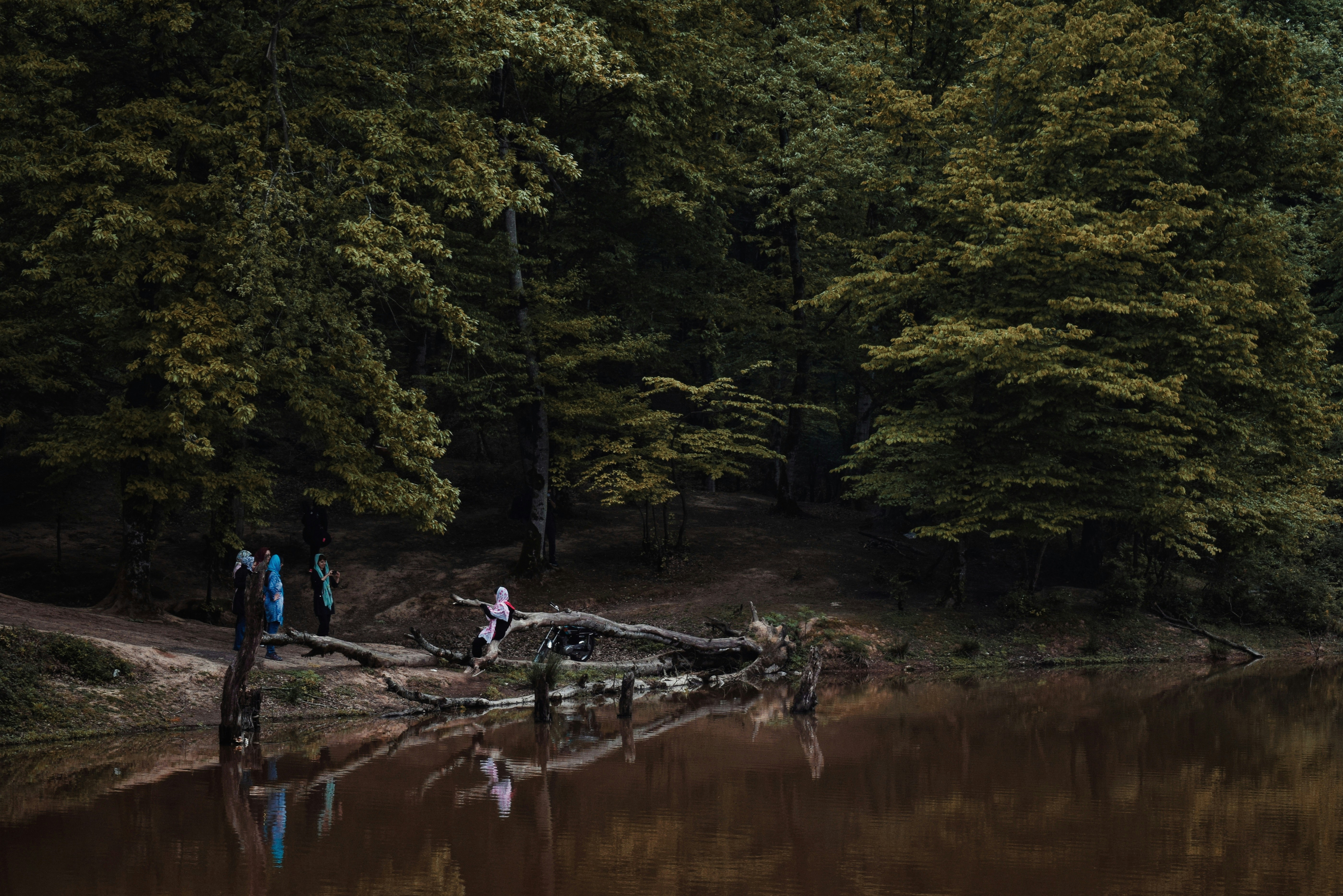 People walking along a riverbank surrounded by dense, lush forest.