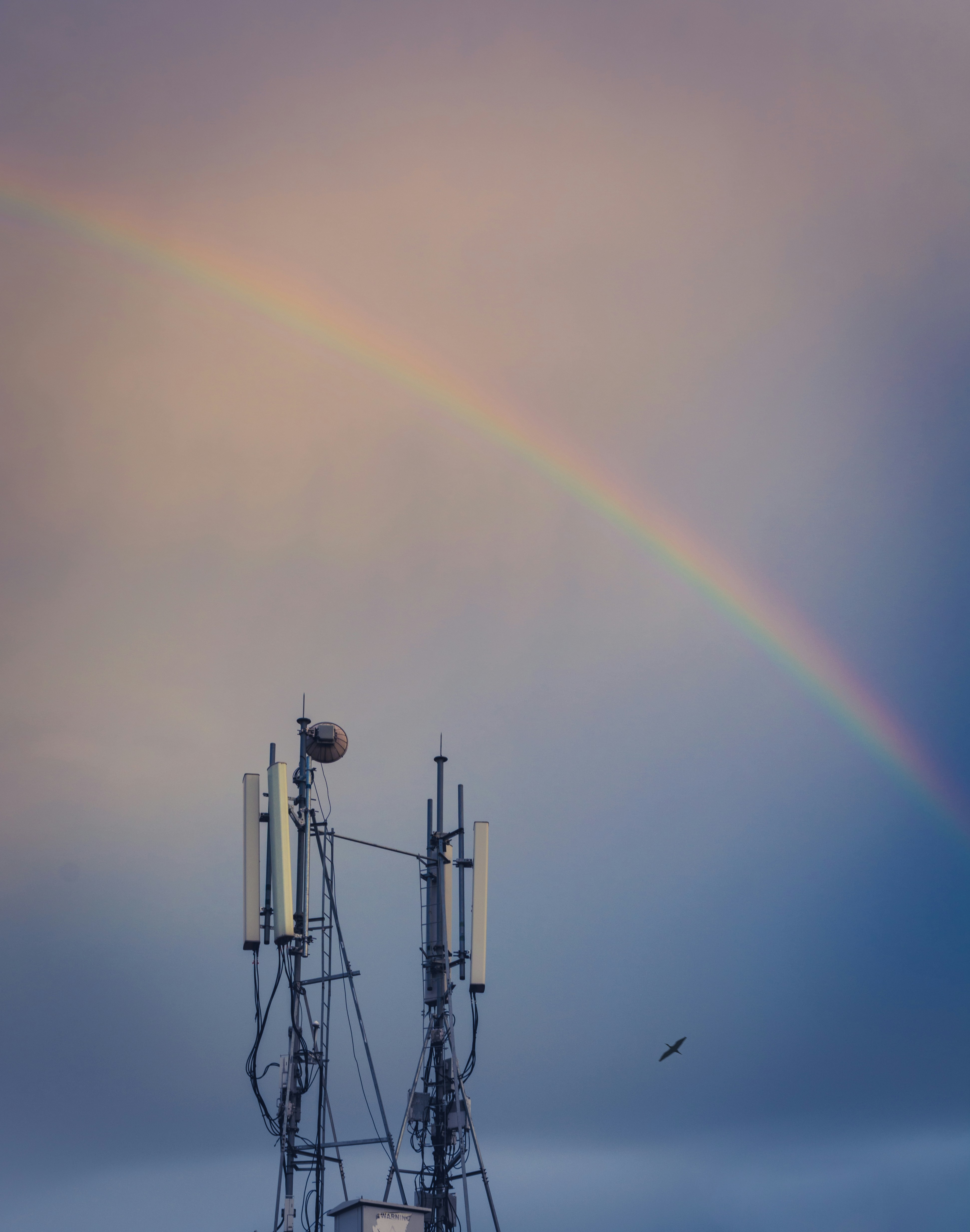 Arc of Color Above the Mast: Dusk at the Antenna Farm