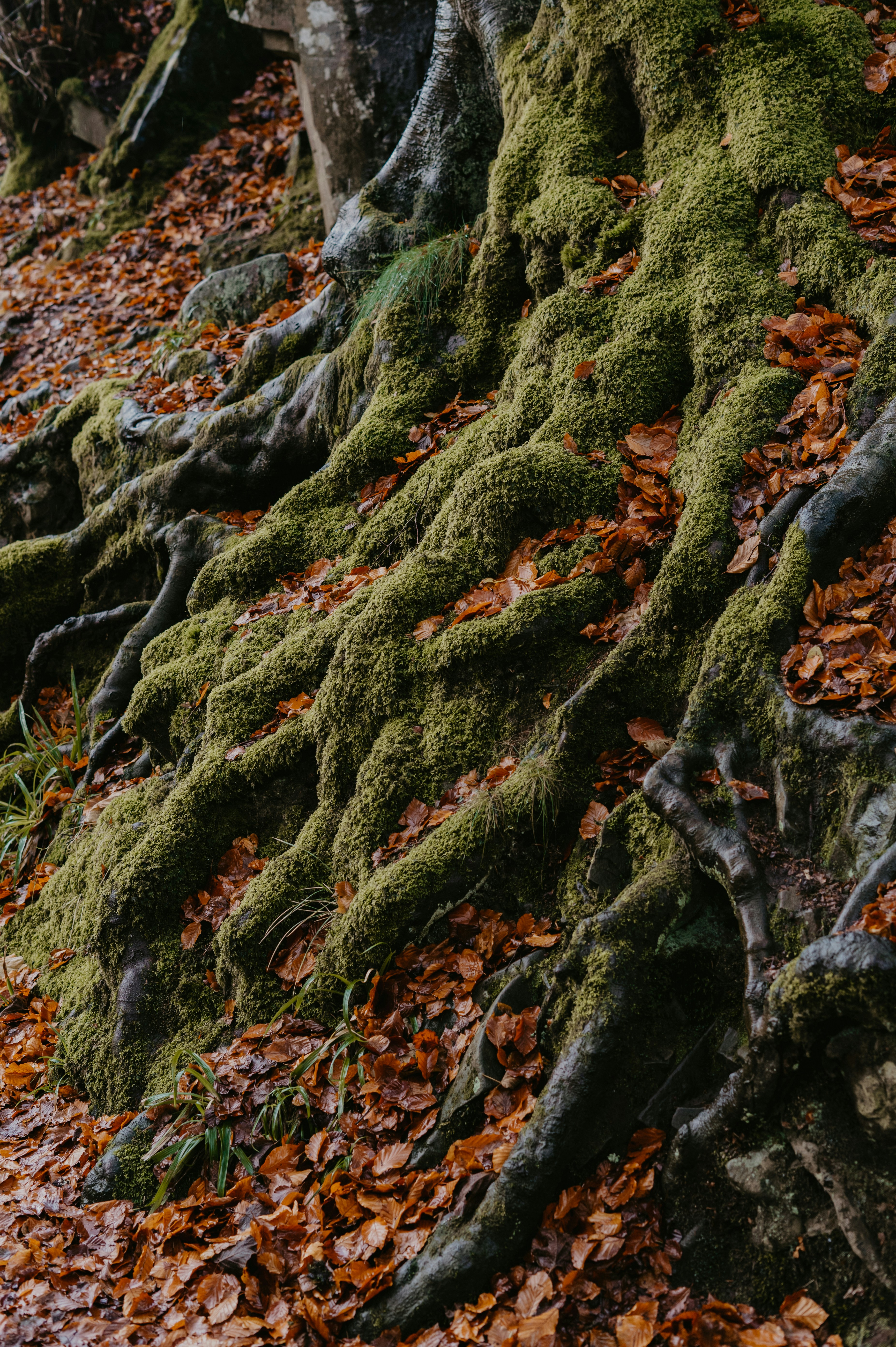 These Walls Talk, Part One - John Bing’s Newsletter