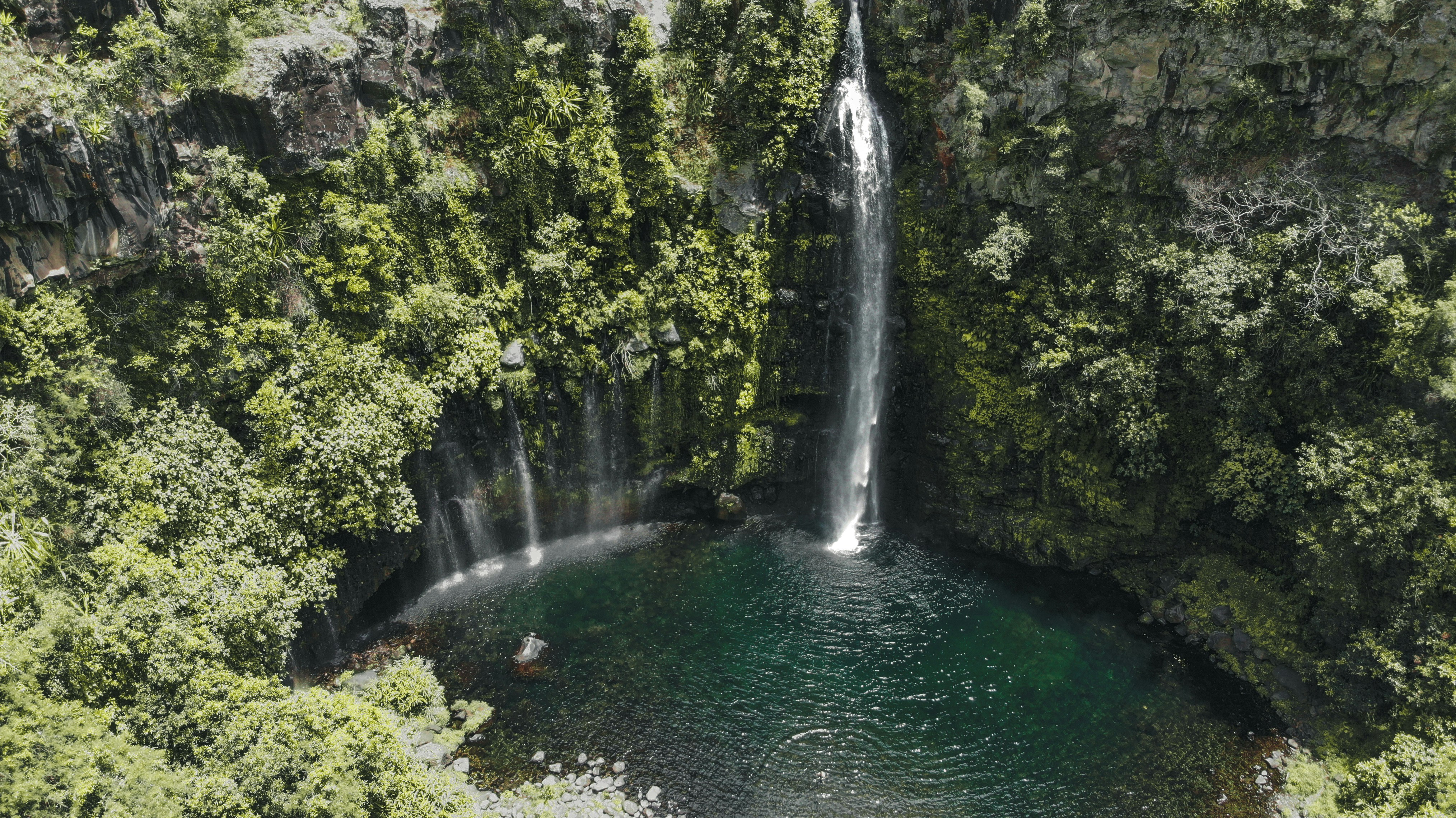 Waterfall plunging into a serene, emerald basin surrounded by lush greenery.