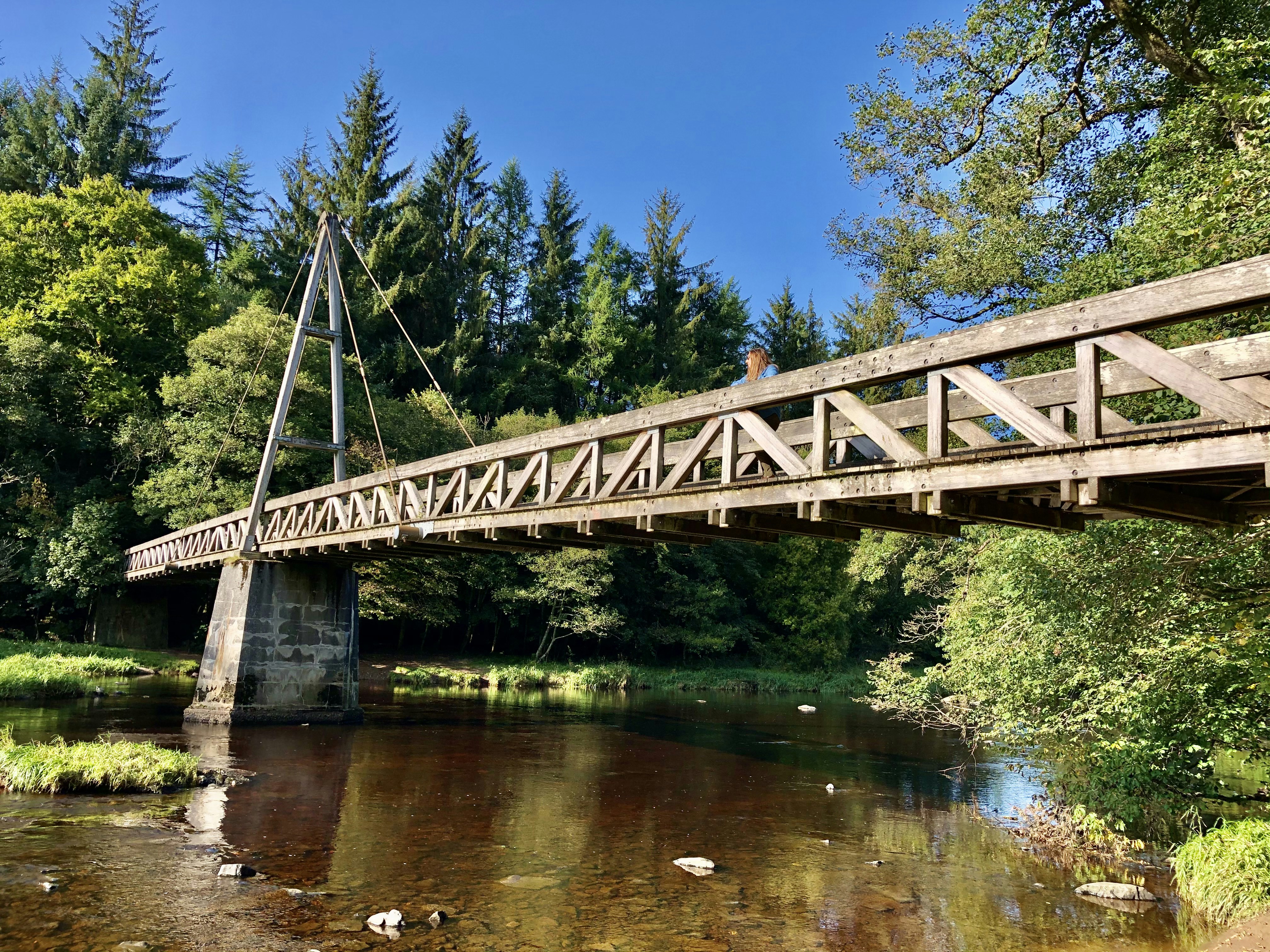 Wooden suspension bridge spanning a calm river, surrounded by lush green trees under a clear blue sky.