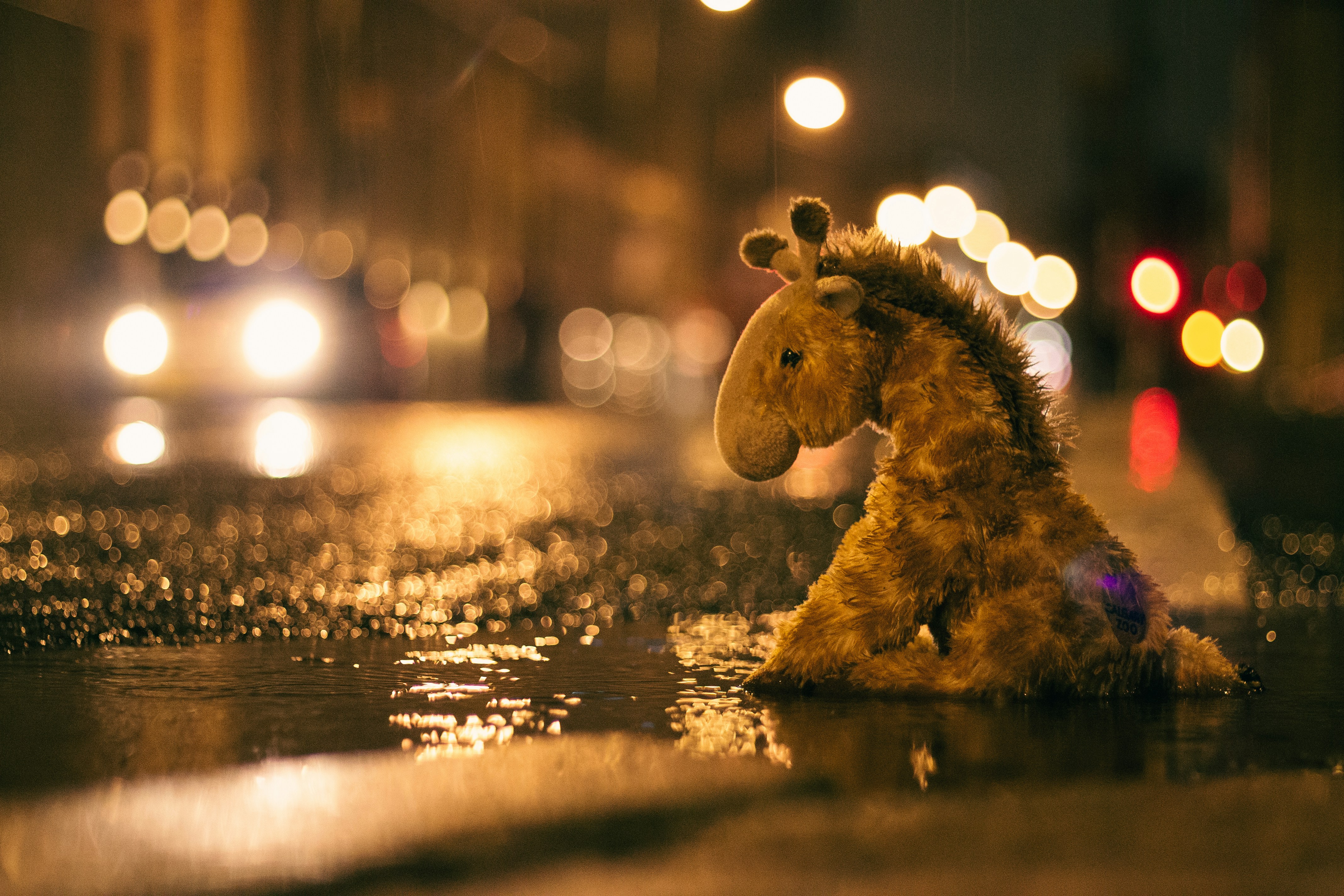 Night Street Sojourner: A Plush Toy Adrift in City Rain