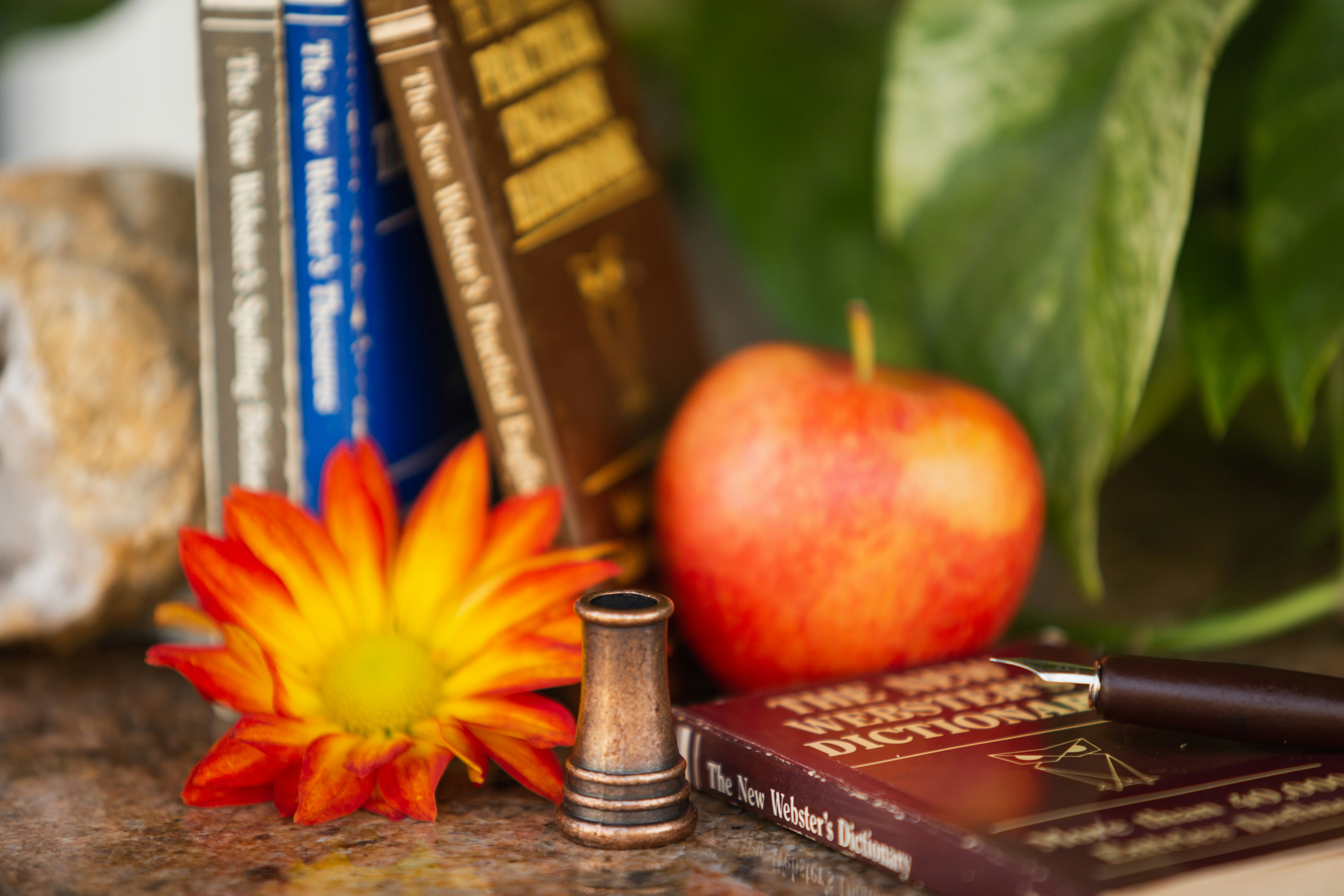 An arrangement of a bright red apple, a vibrant flower, and classic books on a wooden surface, symbolizing the blend of nature and learning.