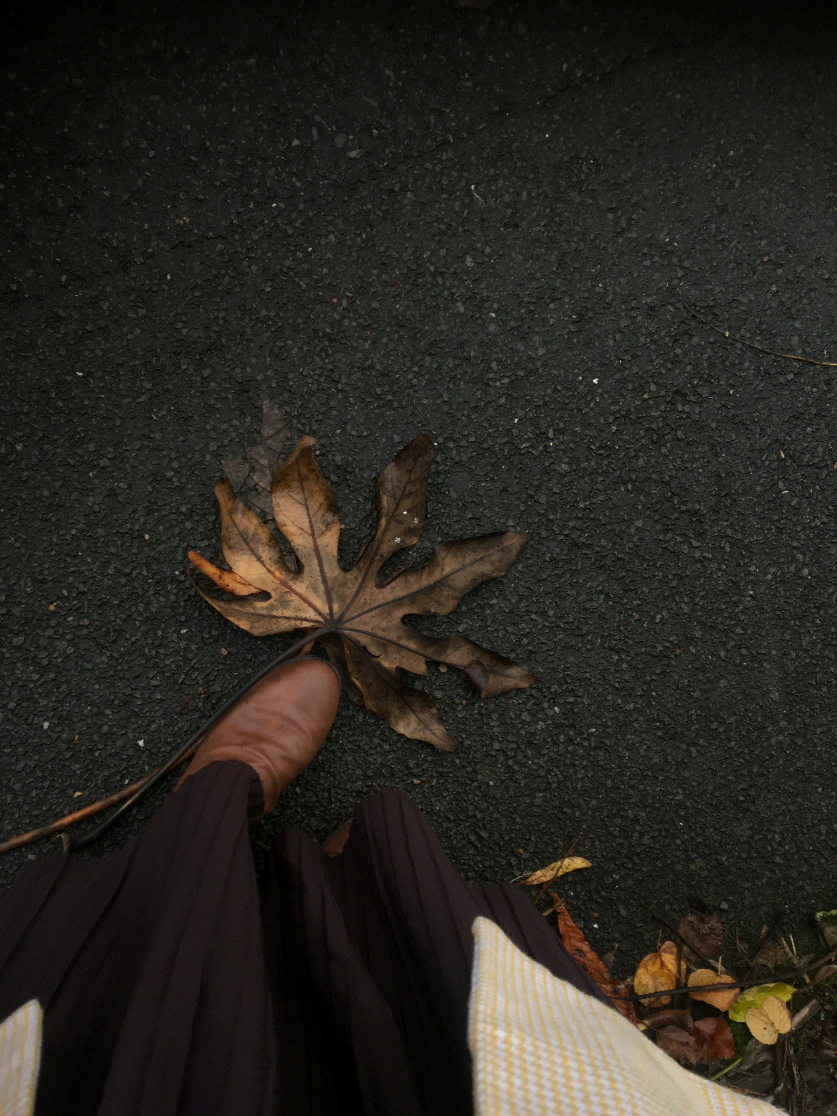 Single brown leaf resting near a boot on damp pavement; the shot includes a dark dress/skirt and a light plaid fabric at the bottom edge, emphasizing texture and fall mood. A simple still-life/minor street scene.