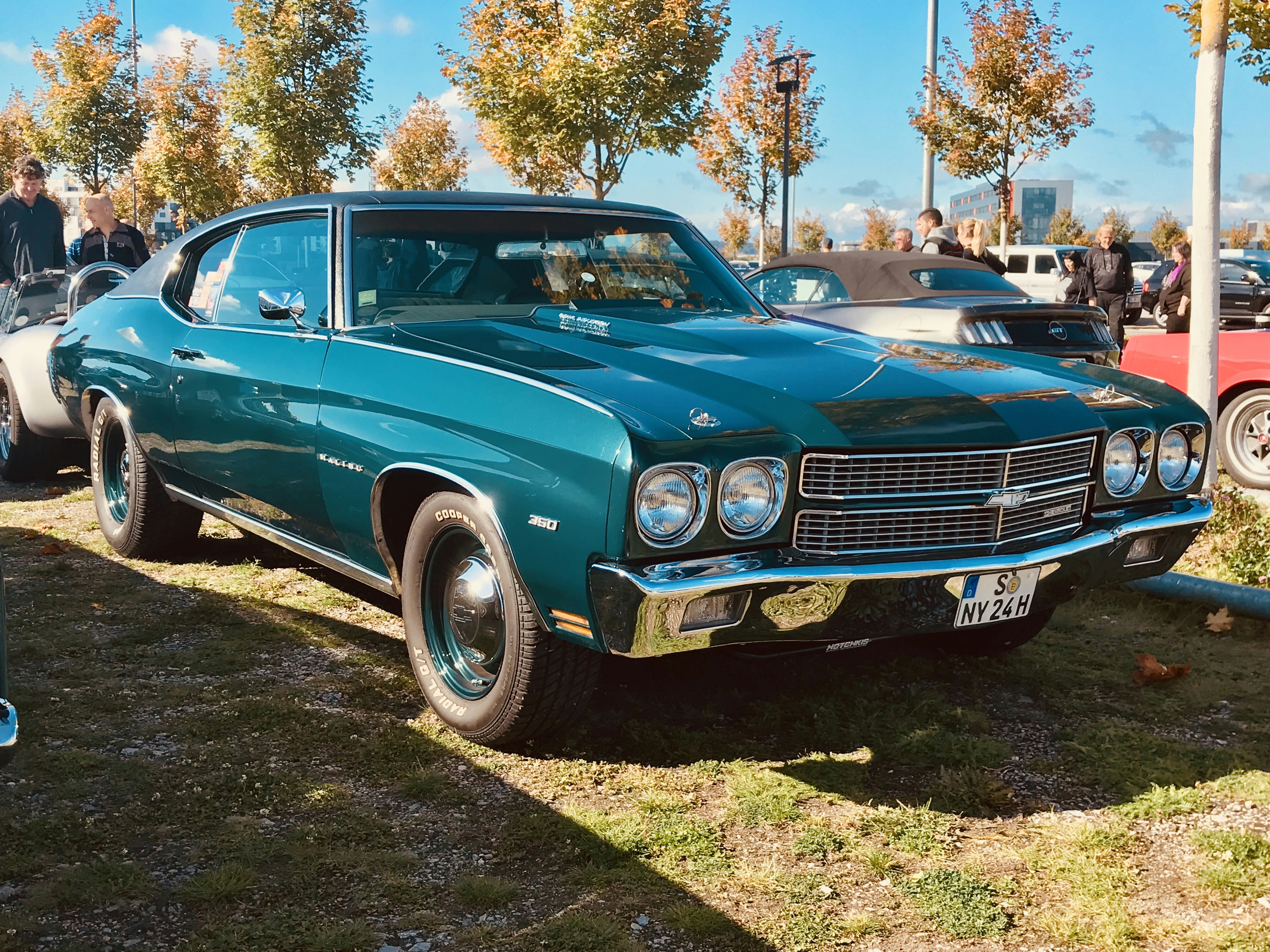 Blue classic car parked on green grass field during daytime photo ...