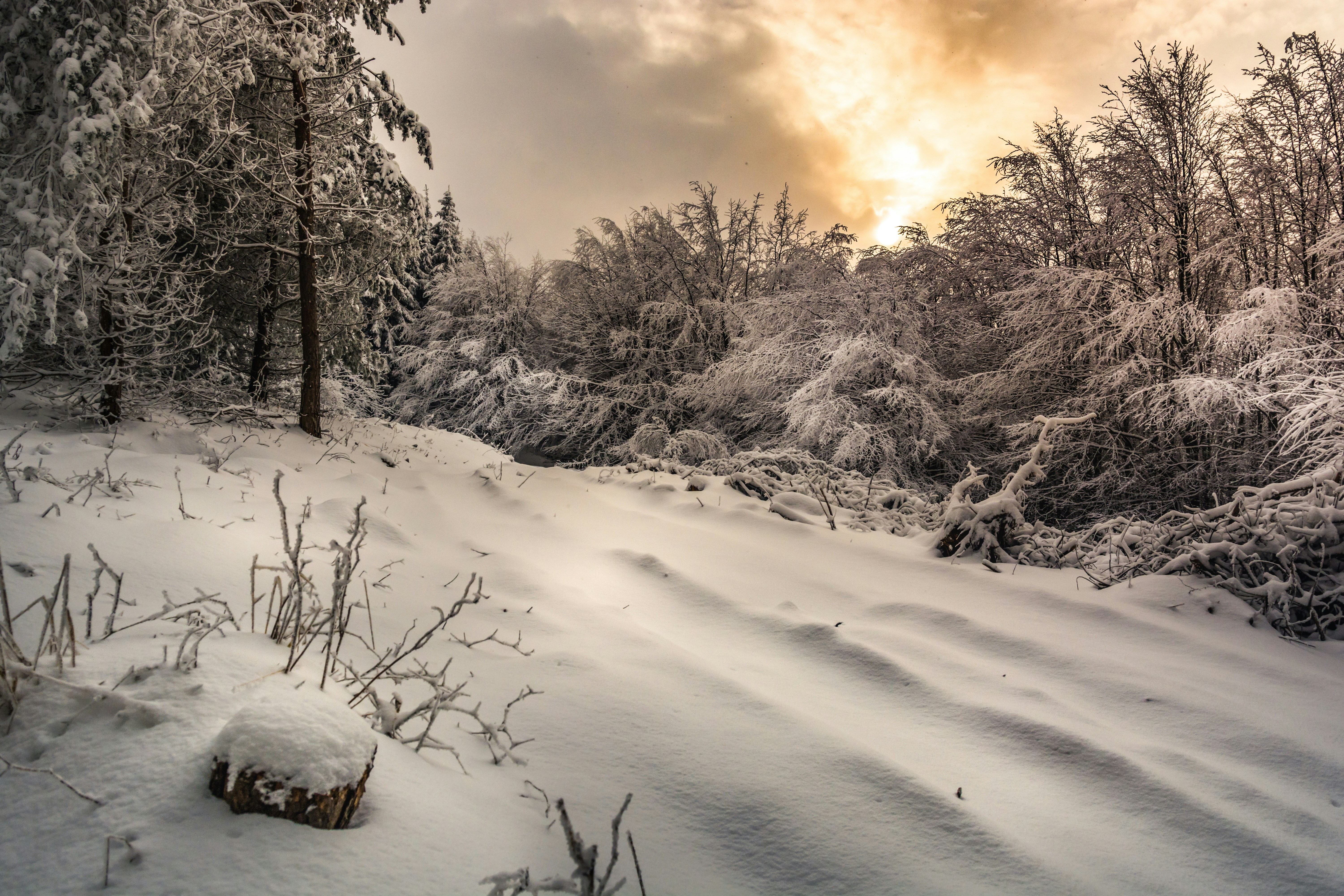 Hunt on Photos Studio (@huntonphotosstudio) | Communauté photos Unsplash