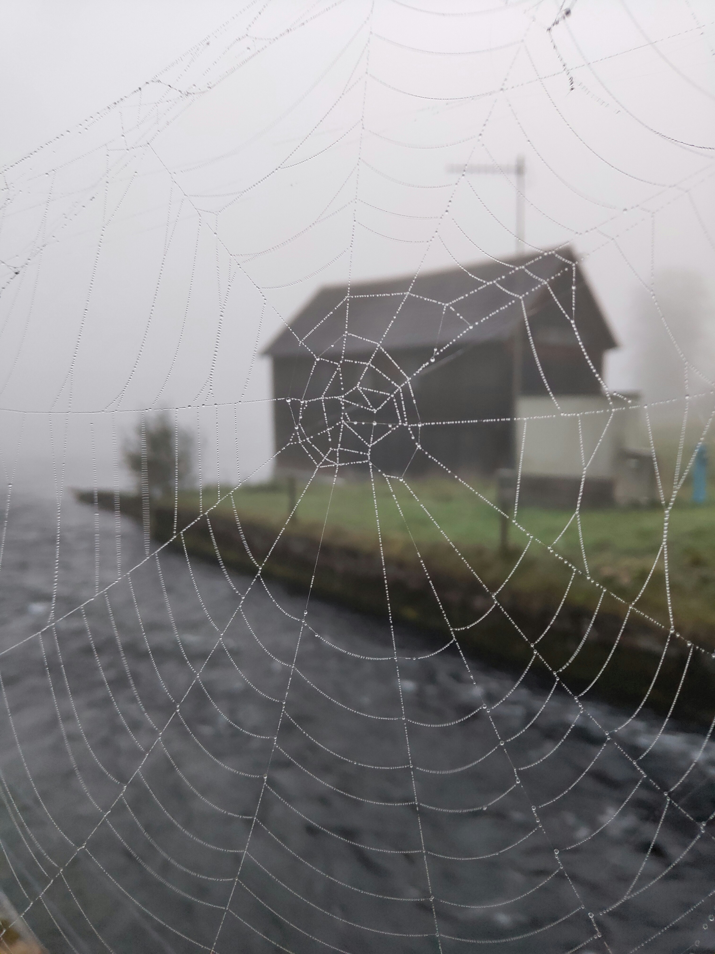 Photo by Maxim Berg with Meizu 16th