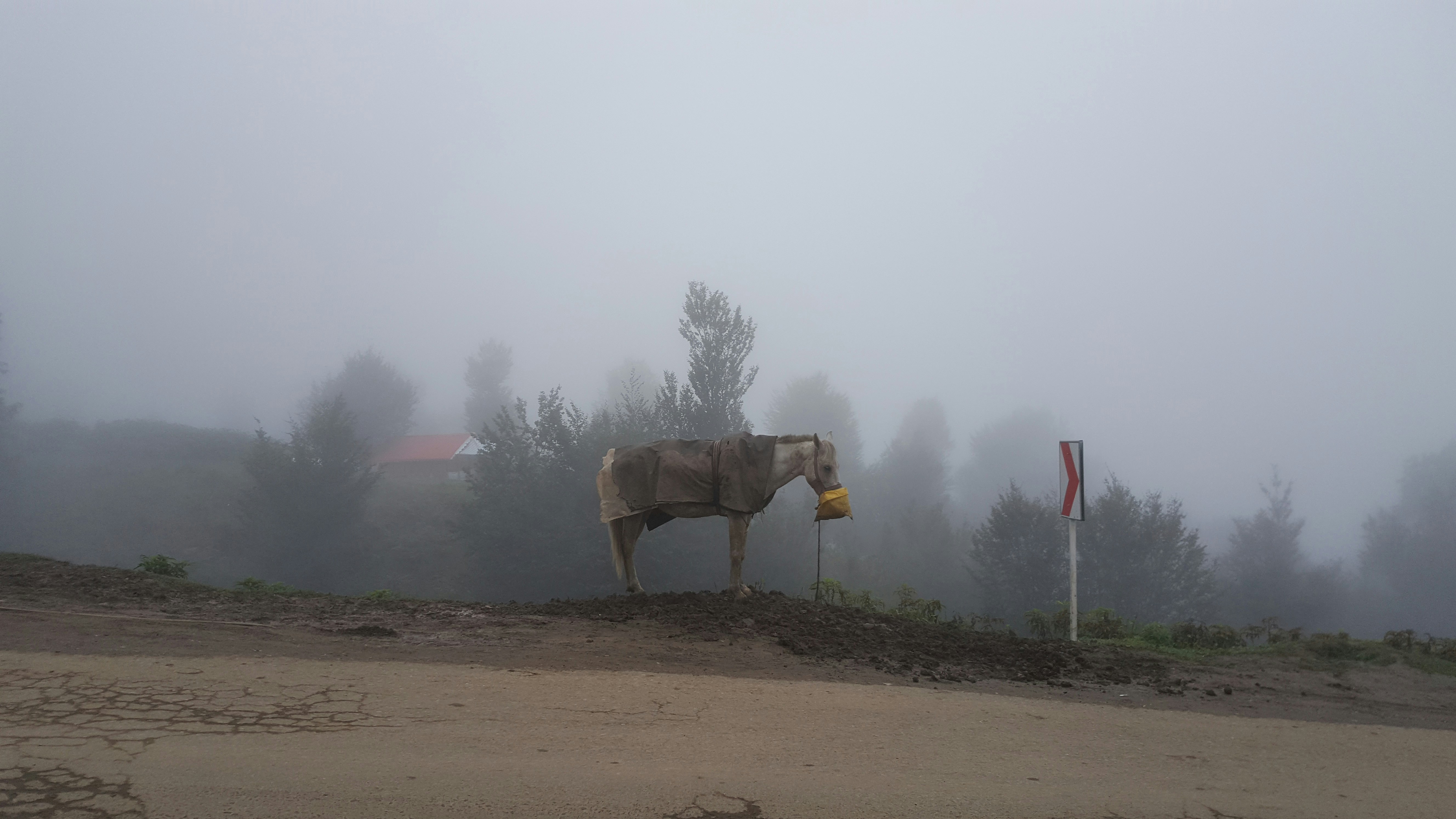 photography Hadi Maleki 
Iran /  North / Javaherdeh
