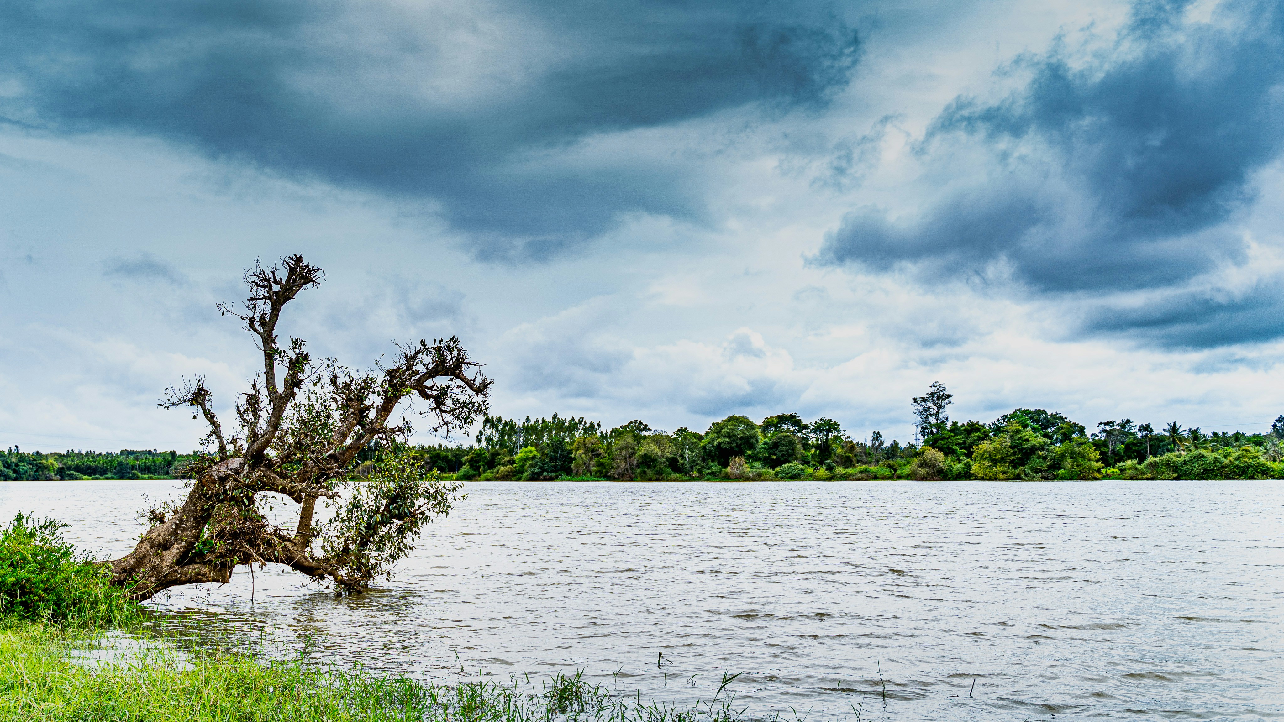 Bare tree leaning over a tranquil river under a moody, cloud-filled sky.
