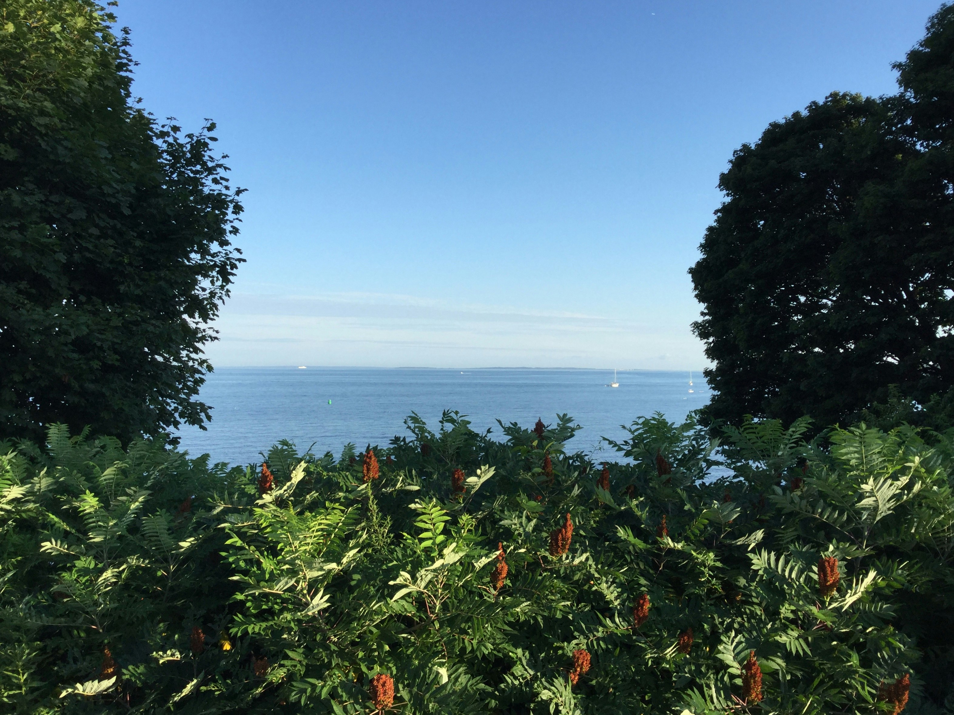 Ysabella Ray (@ysabellaray) | Communauté photos Unsplash