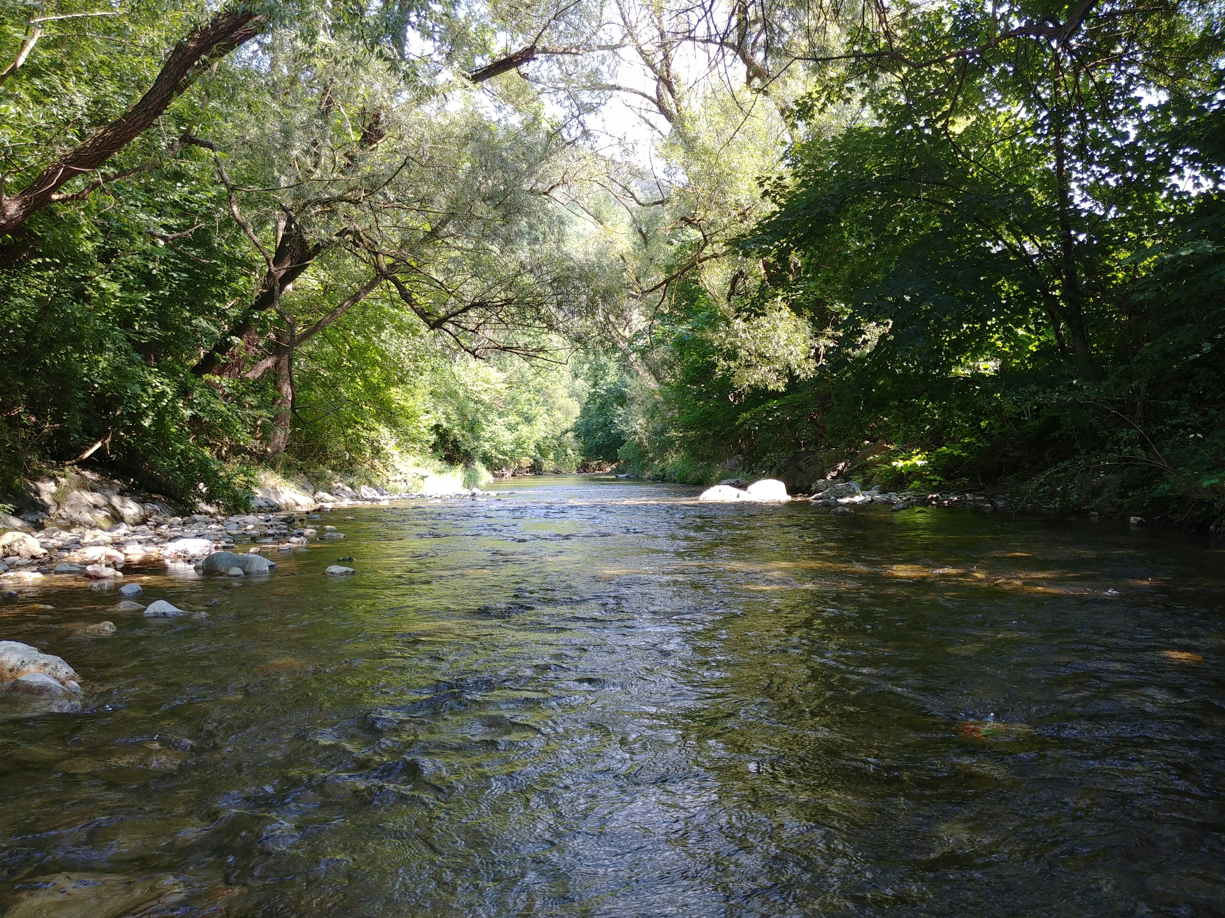 Tranquil stream meandering through a lush green landscape, framed by trees and rocky banks.