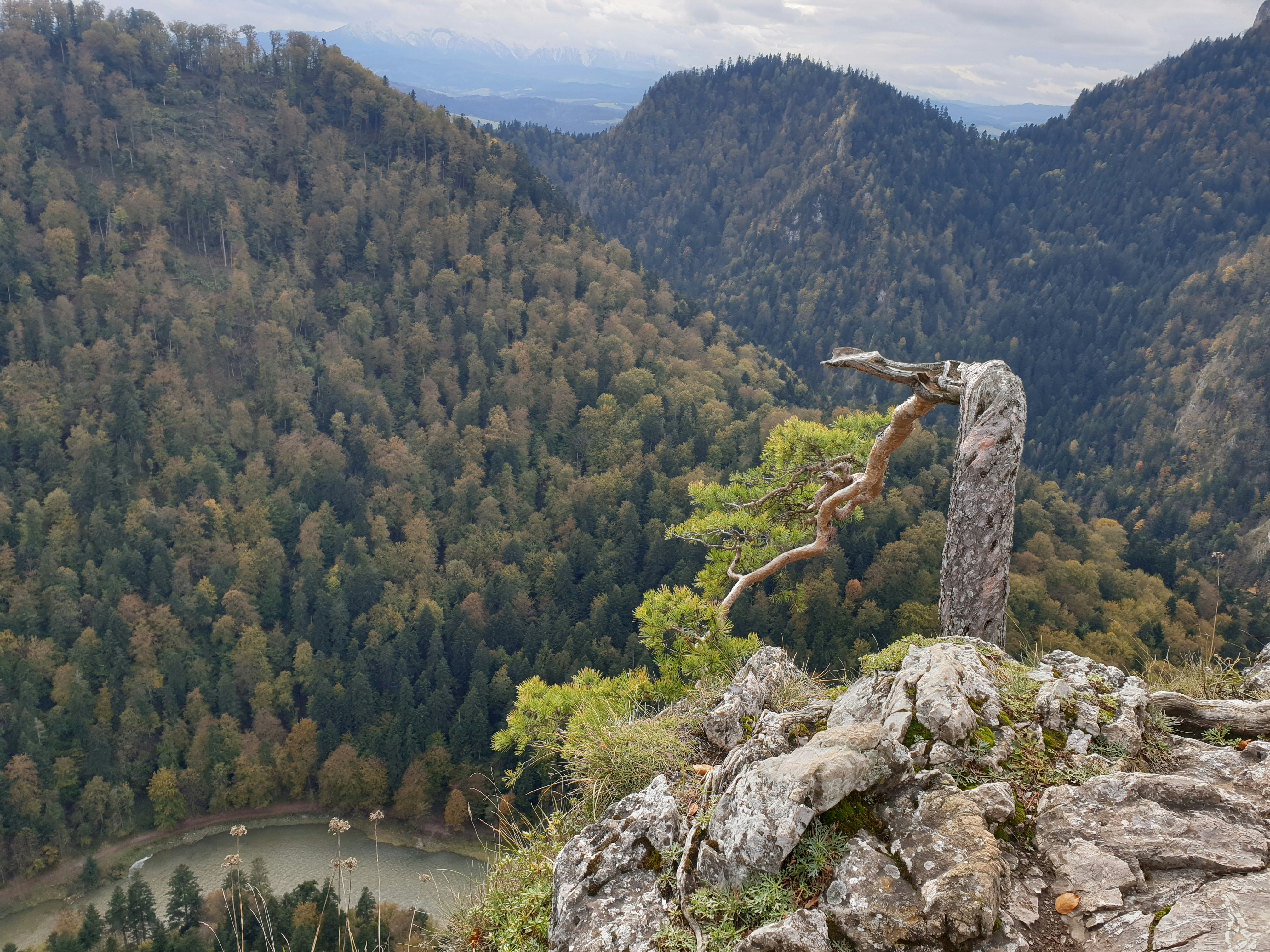 person sitting on rock formation near lake during daytime