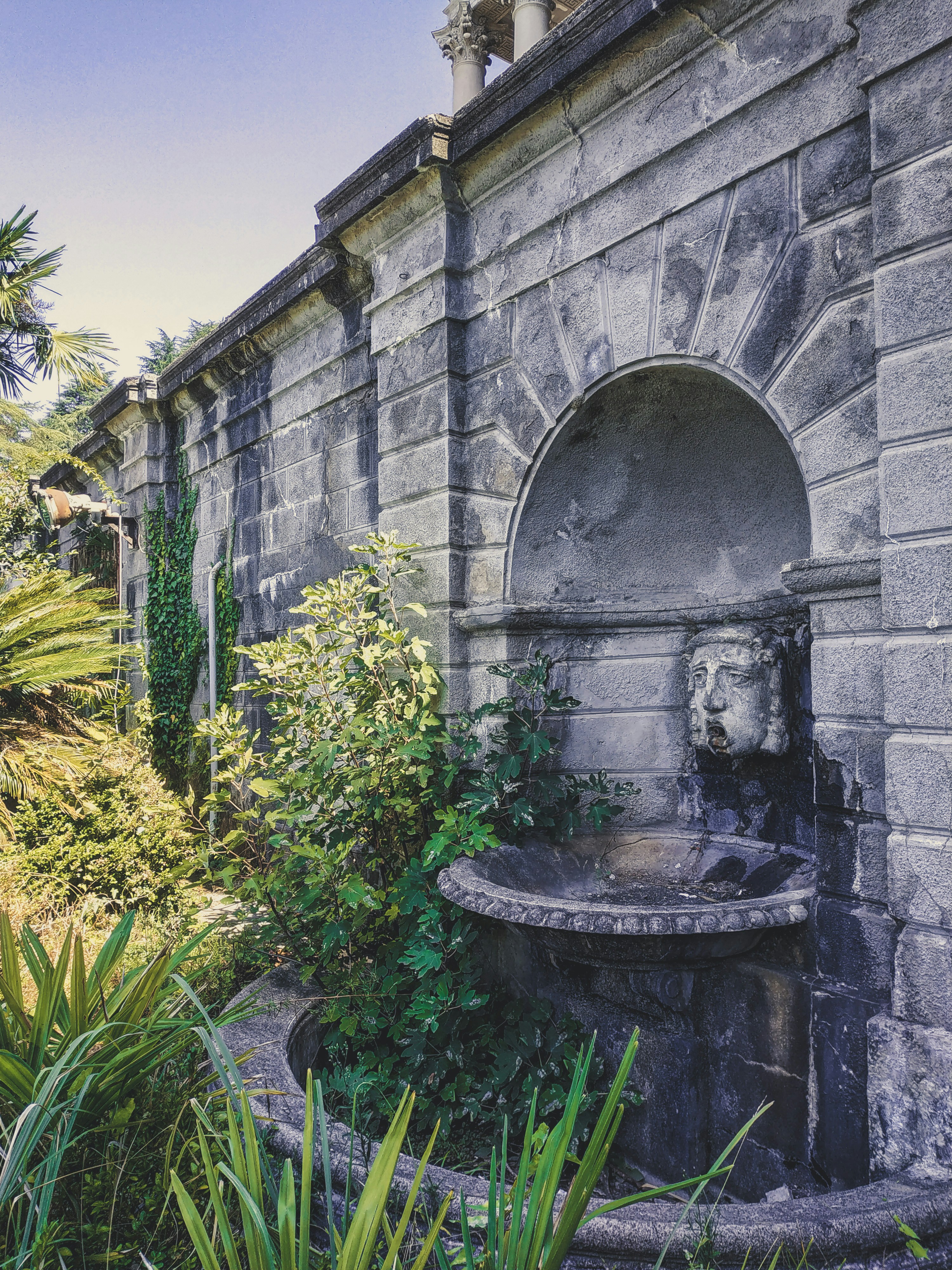 An intricately carved stone fountain nestled against an aged wall, surrounded by lush greenery and vines. The serene face of a figure emerges from the stone, hinting at a history long forgotten.