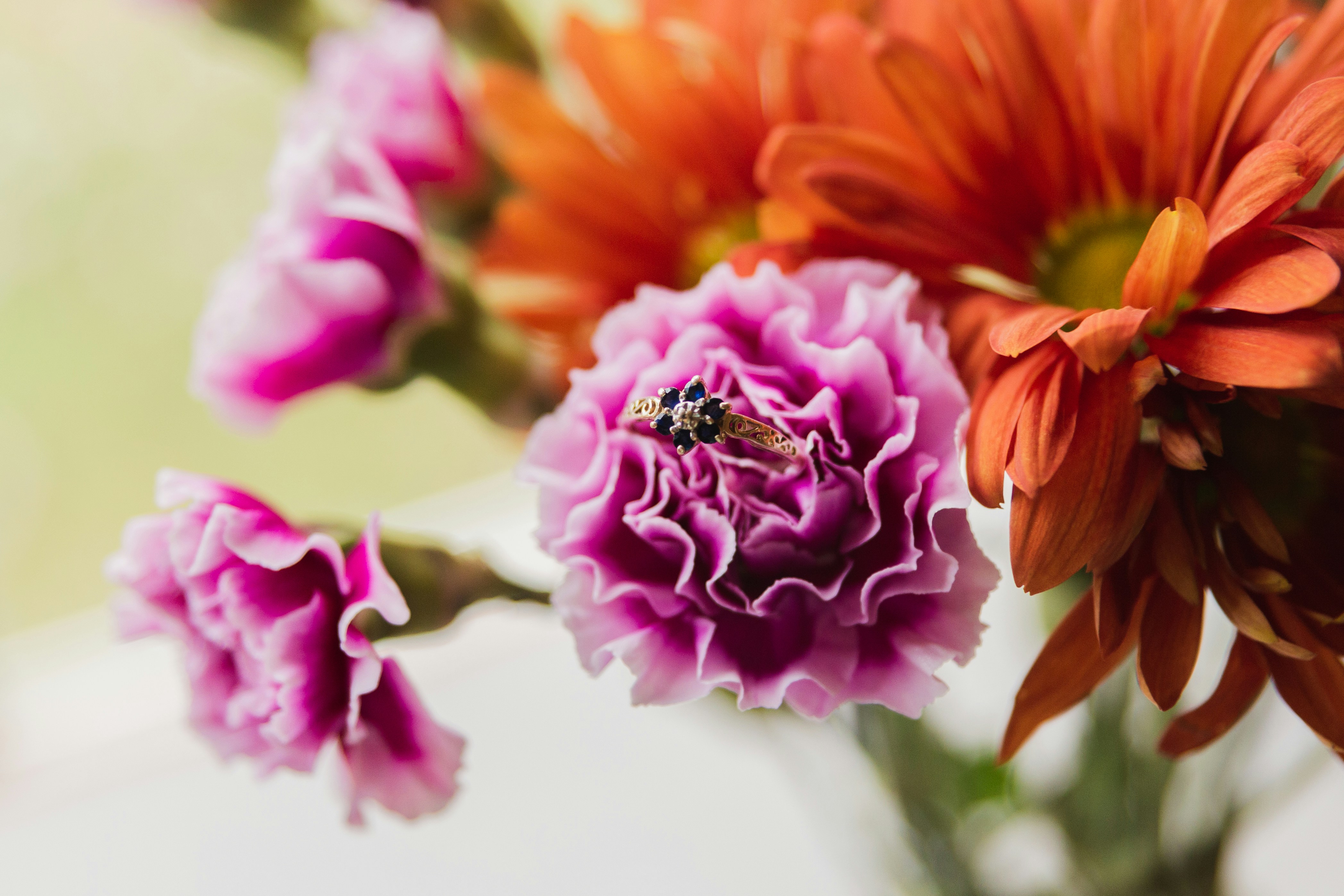 Close-up of vibrant pink and orange flowers, showcasing intricate petal details and rich hues.