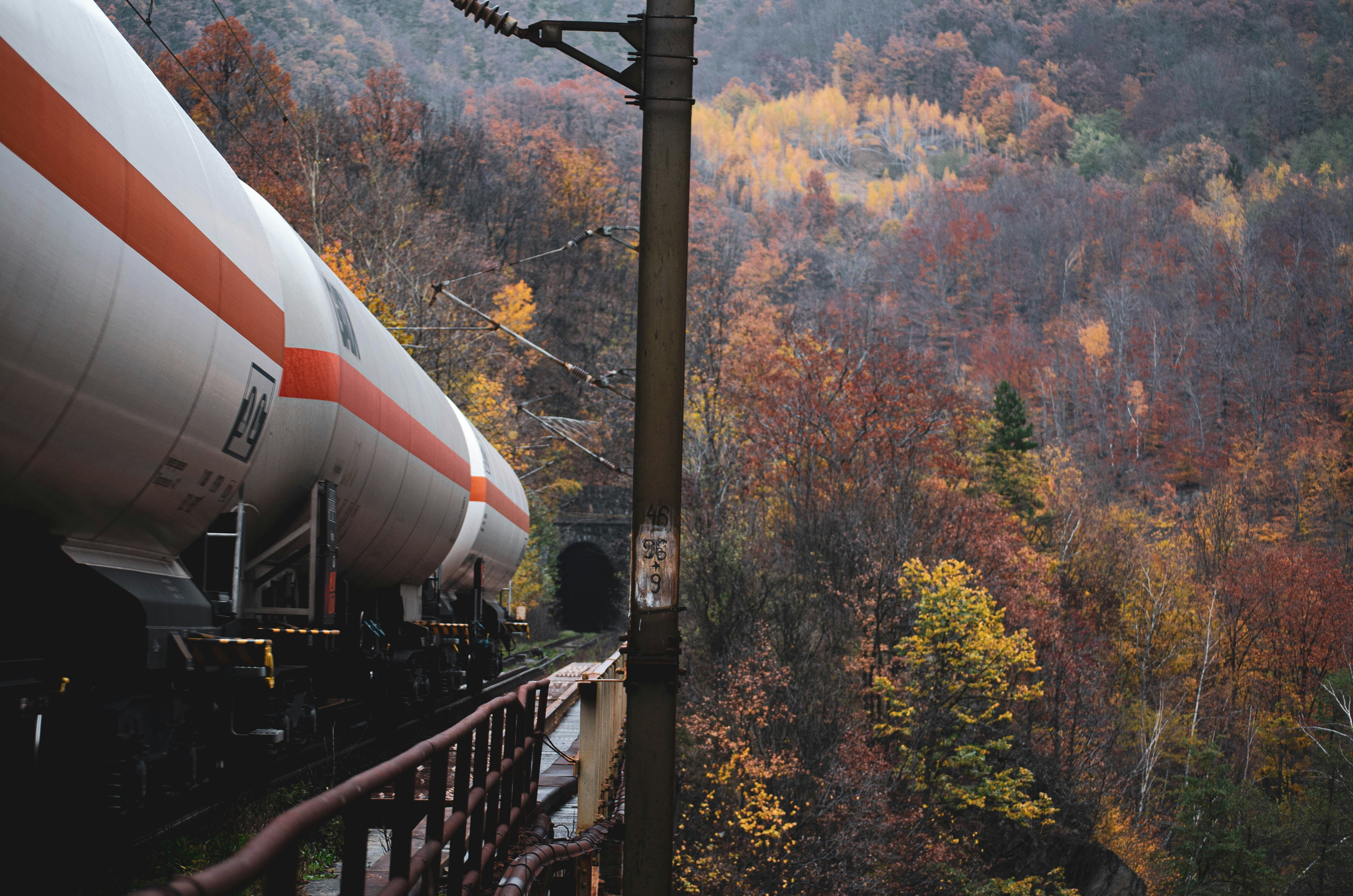 Train entering a tunnel amid vibrant autumn foliage in a mountainous landscape.