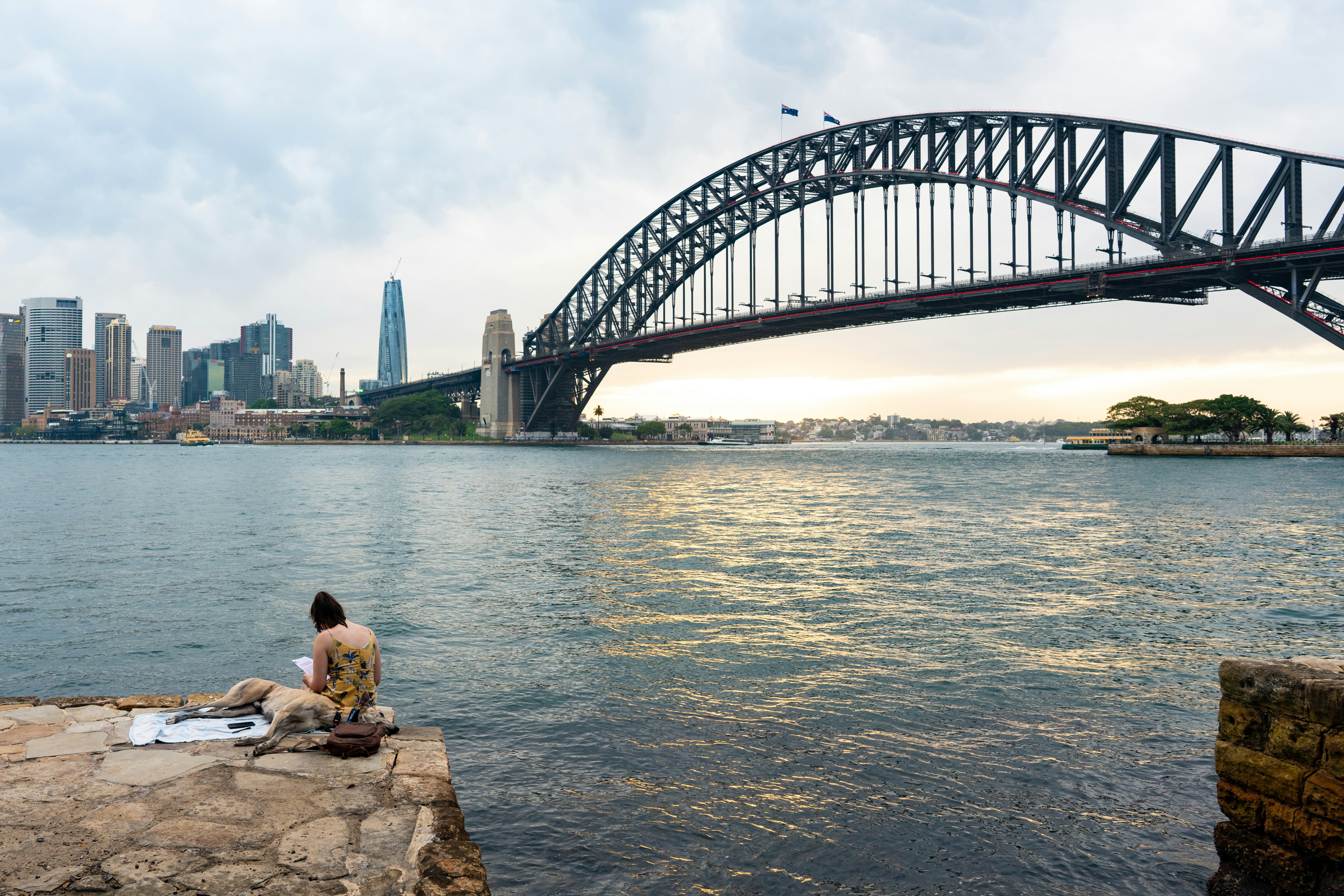 A person sits quietly by the water's edge, sketching the iconic Sydney Harbour Bridge against a backdrop of a vibrant city skyline. A sense of tranquility fills the scene.