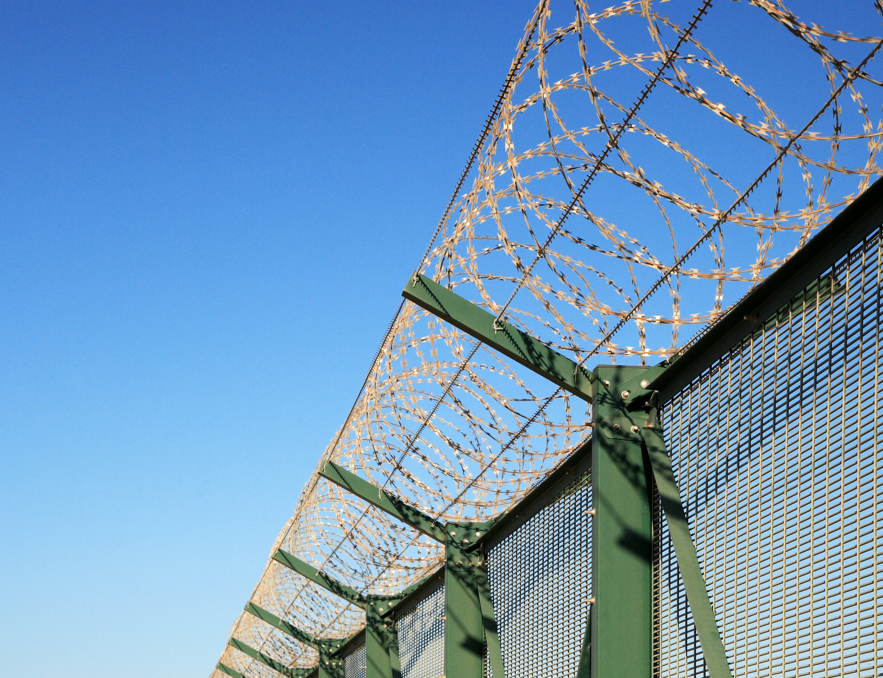 Barbed wire atop a green fence against a clear blue sky, symbolizing security and separation.