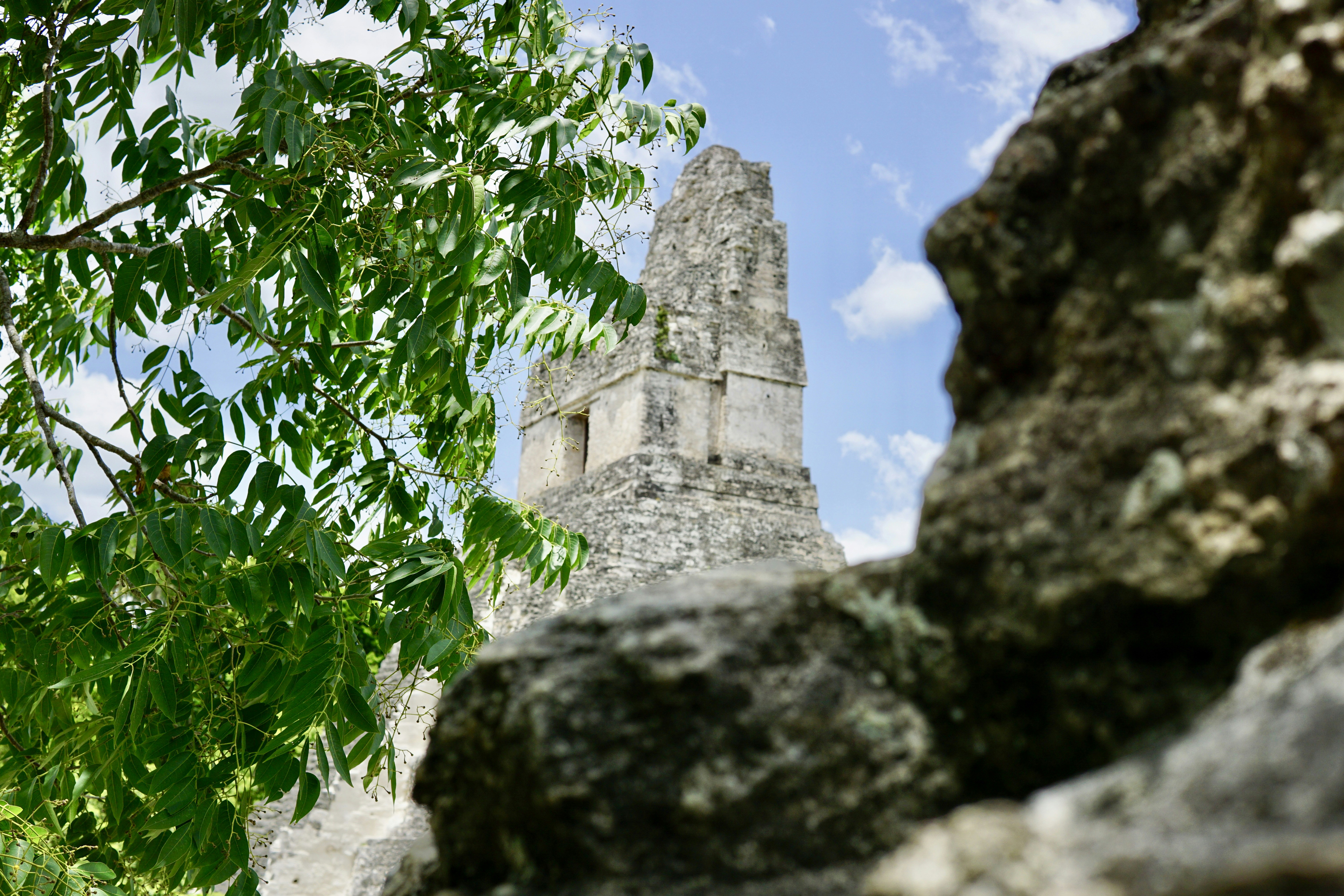 Ancient ruins partially obscured by lush green foliage, showcasing a weathered stone structure against a clear blue sky.