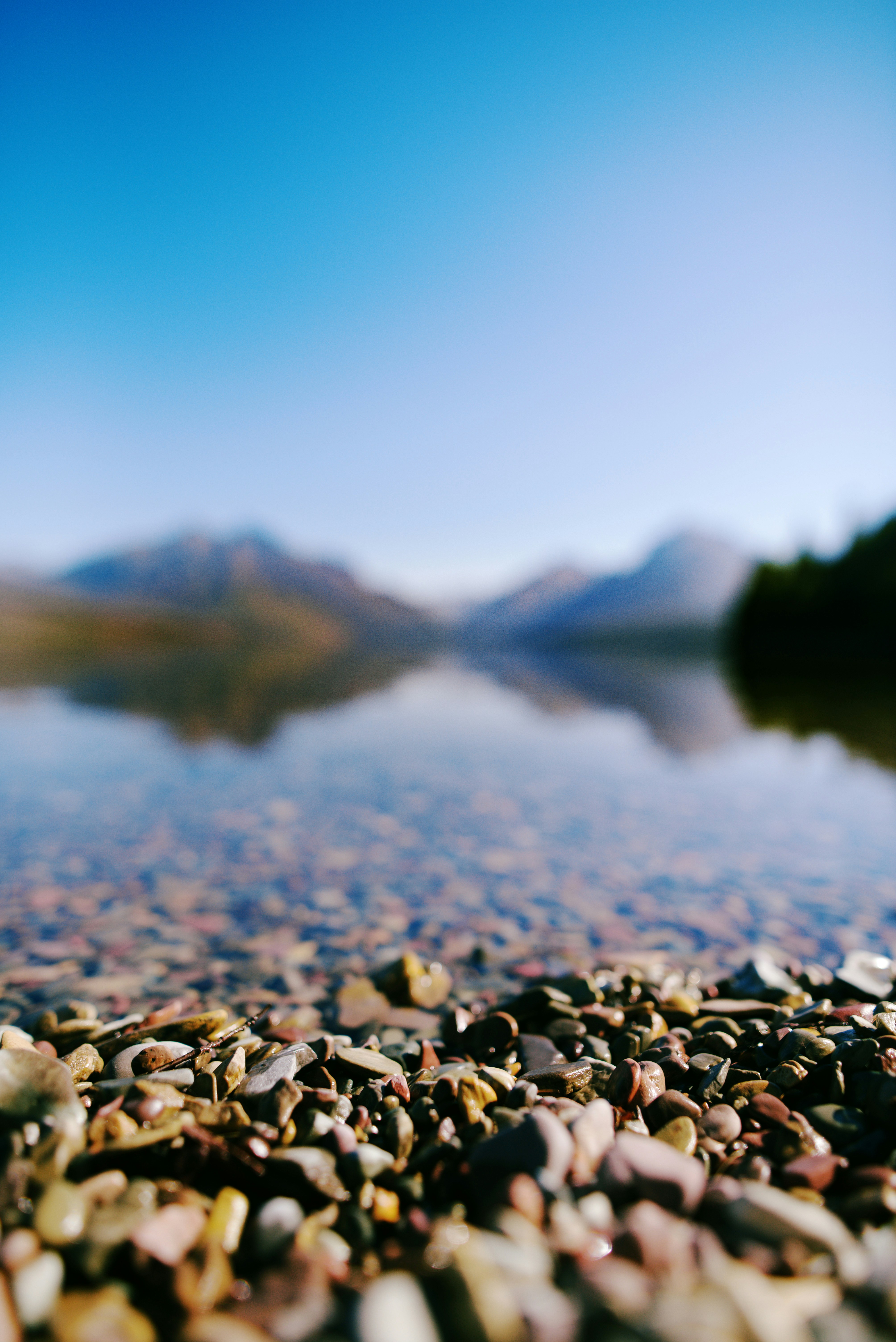 Pebble Edge: Quiet Focus at an Alpine Lake