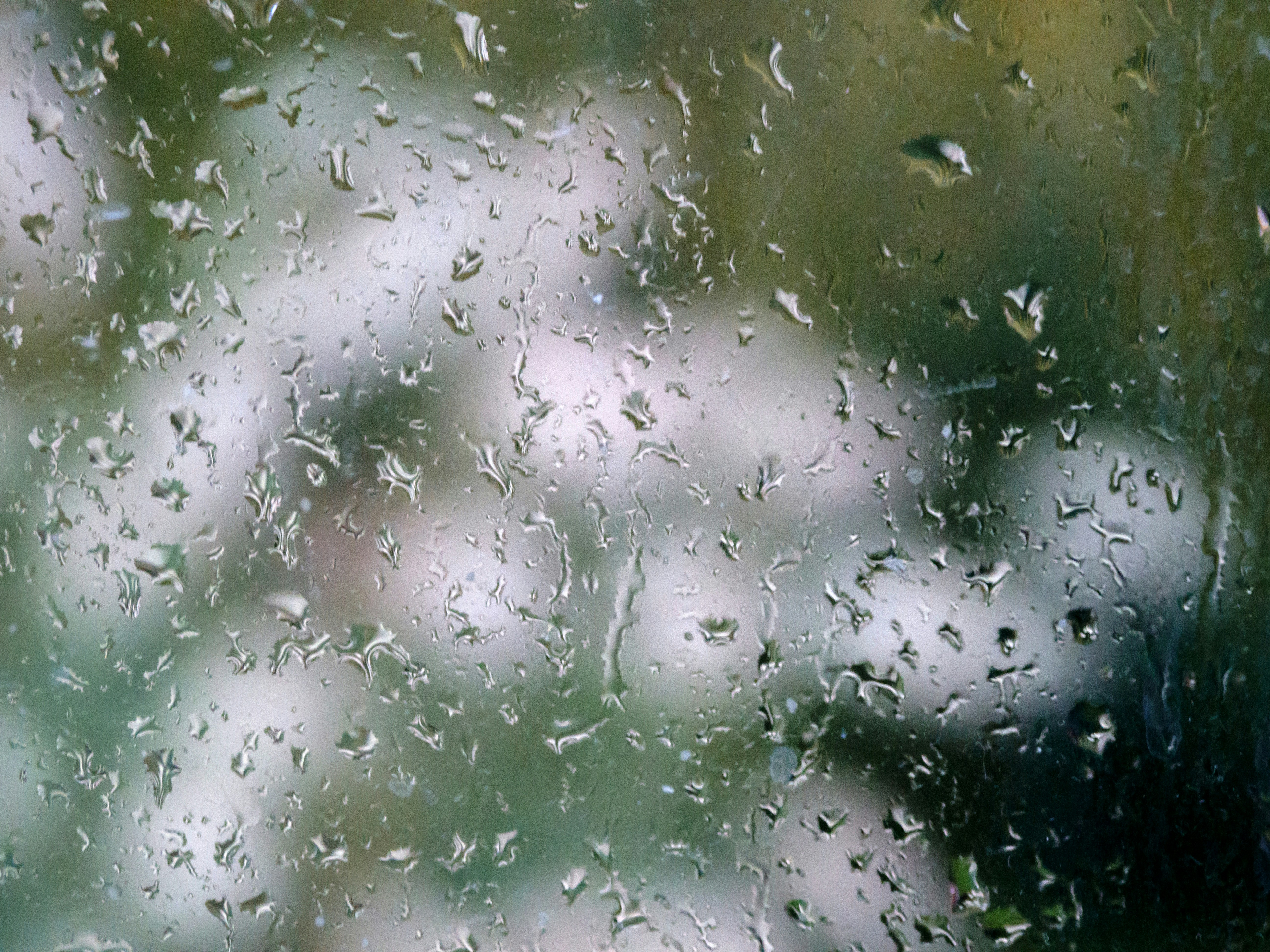 Water droplets scattered on a windowpane with a blurred natural backdrop.