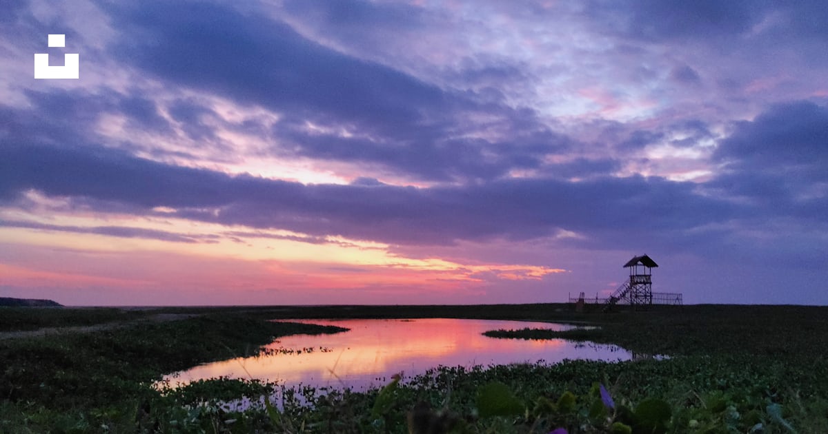 Green Grass Near Body Of Water During Sunset Photo Free Nature Image