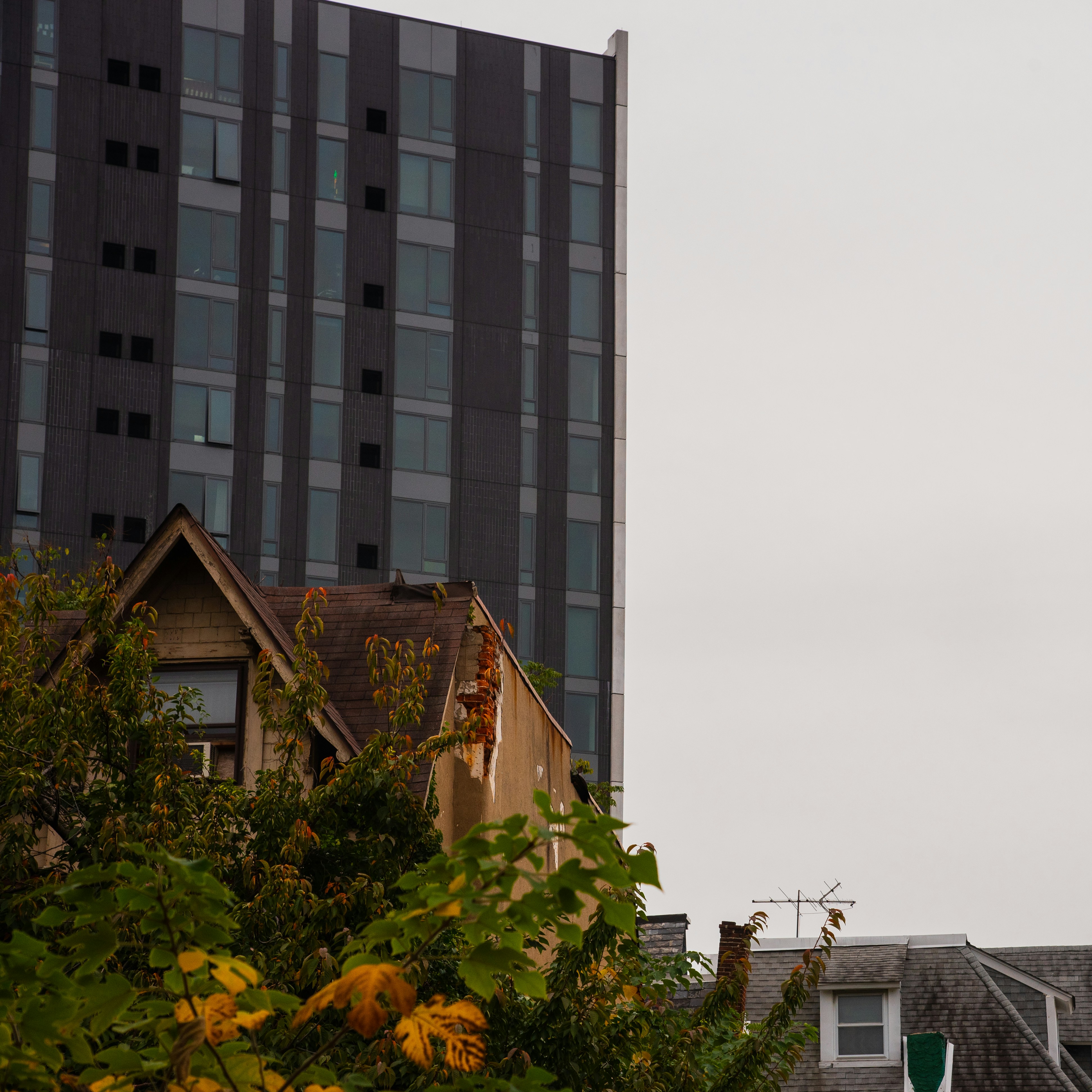Urban Convergence: A Concrete Tower Over a Rooftop Aglow with Foliage