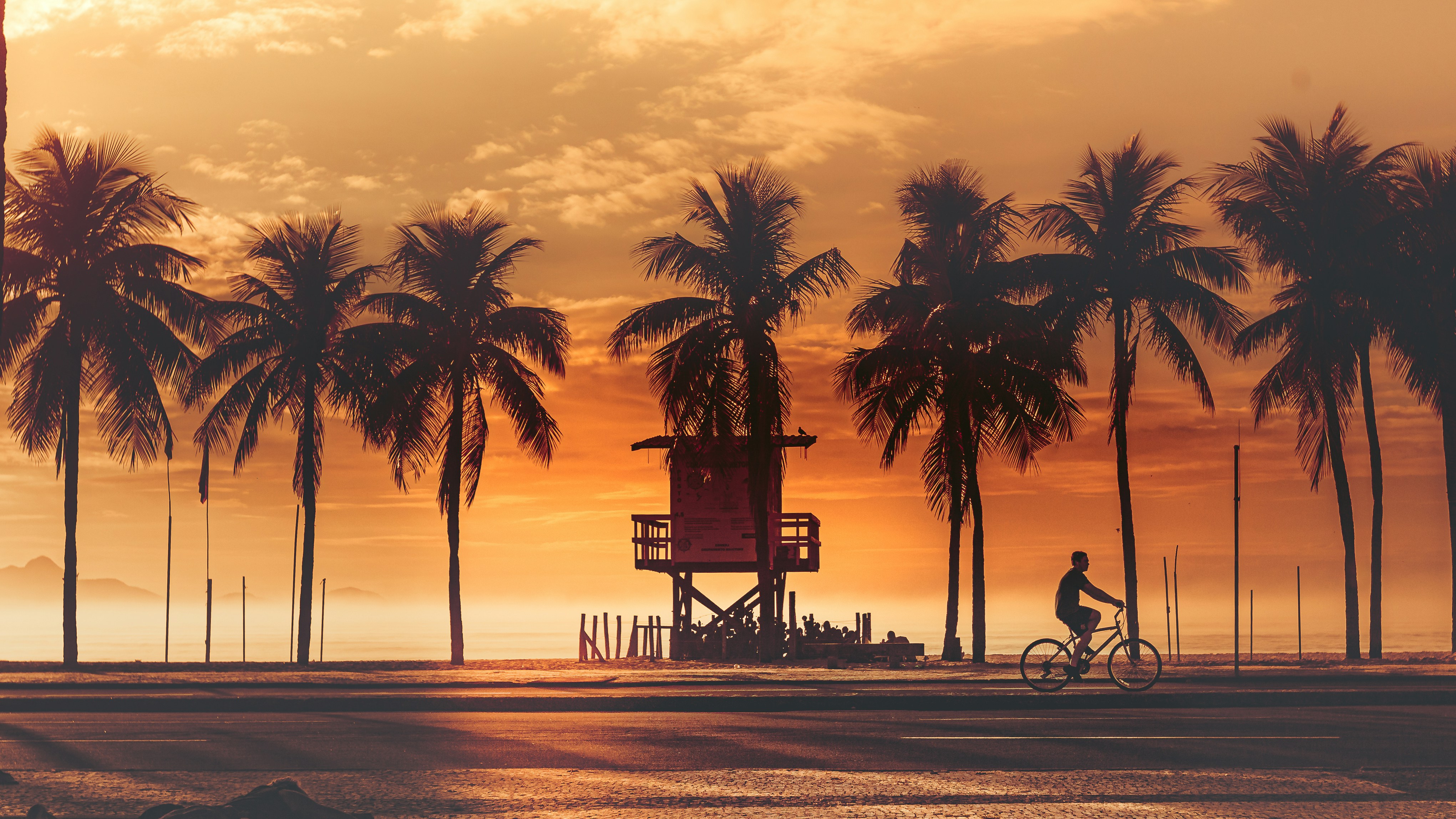 Silhouette of a cyclist riding past palm trees against a vibrant sunset backdrop, with a lifeguard tower in the distance.