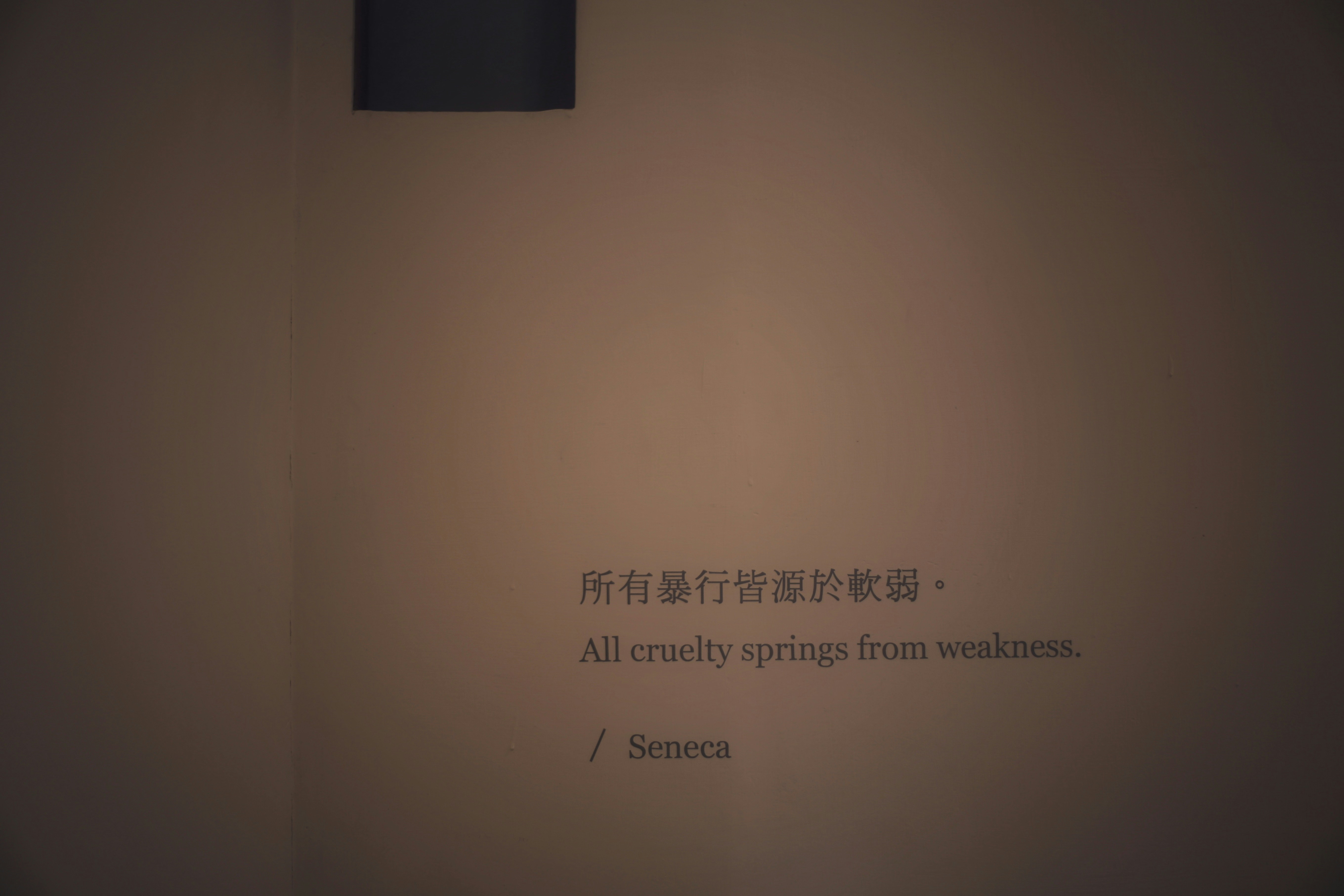 Ellen Joe Live Wallpaper Pictures | Download Free Images on Unsplash