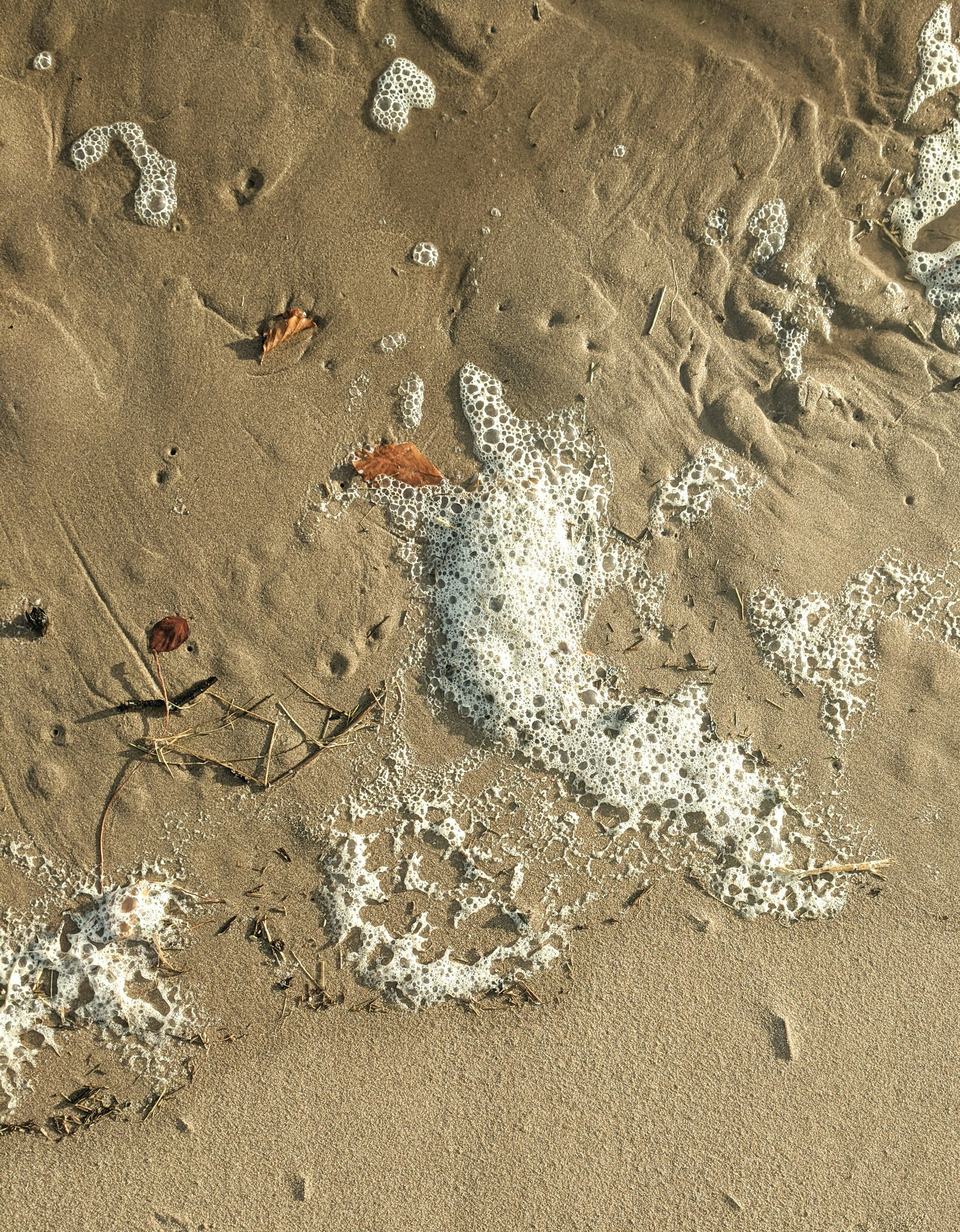 Foamy shoreline kiss: delicate bubbles tracing a sandy edge