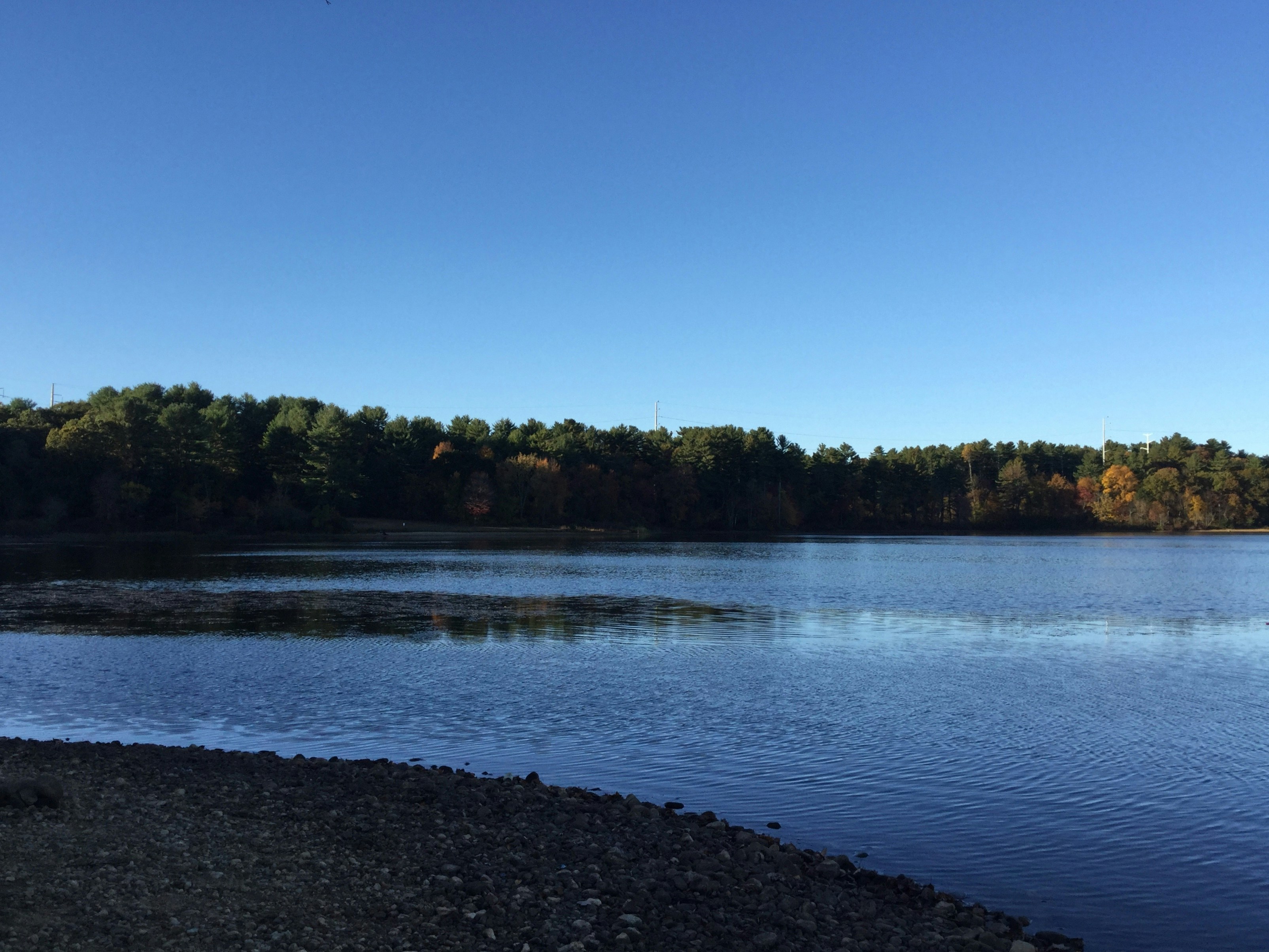 Ysabella Ray (@ysabellaray) | Communauté photos Unsplash