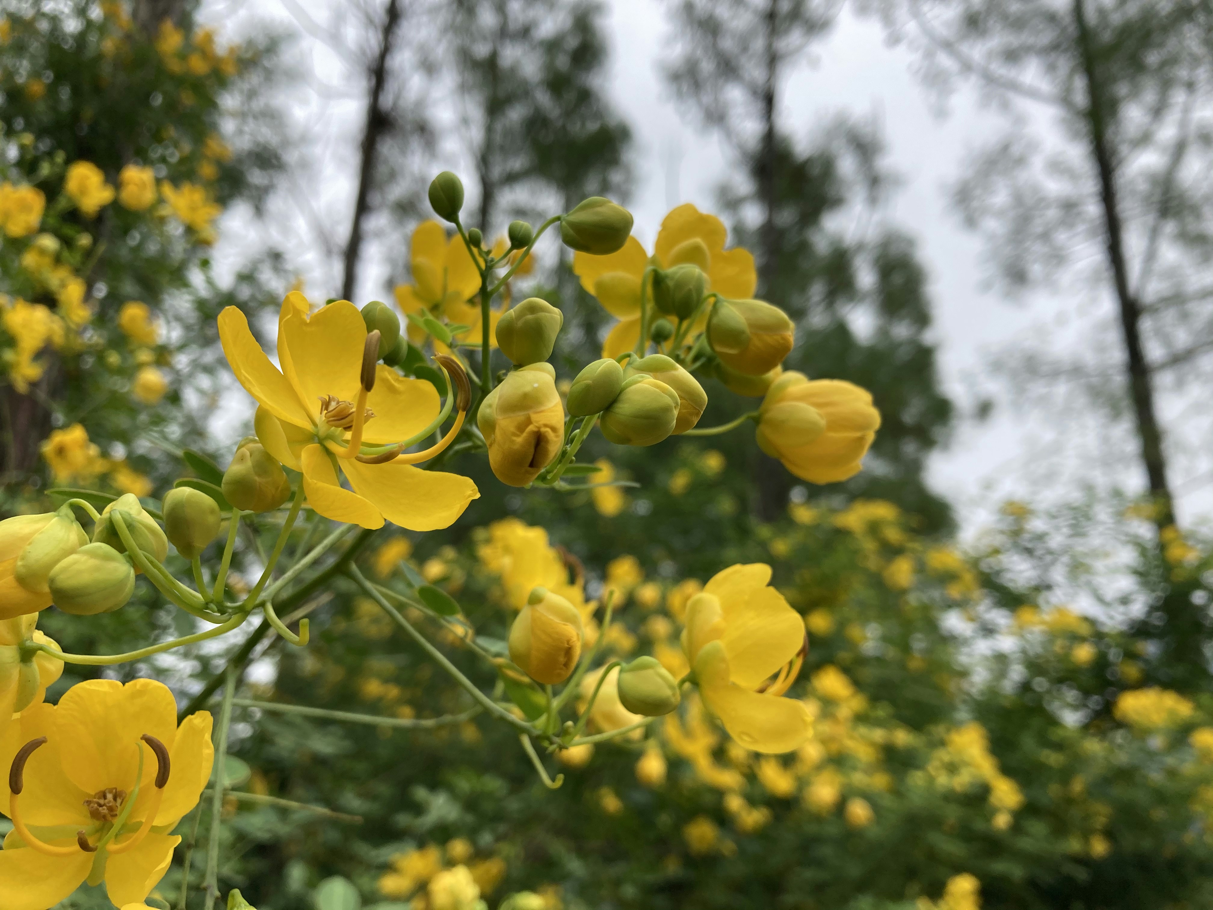 颜嘉 鲁 (@dk_lu) | Unsplash Photo Community