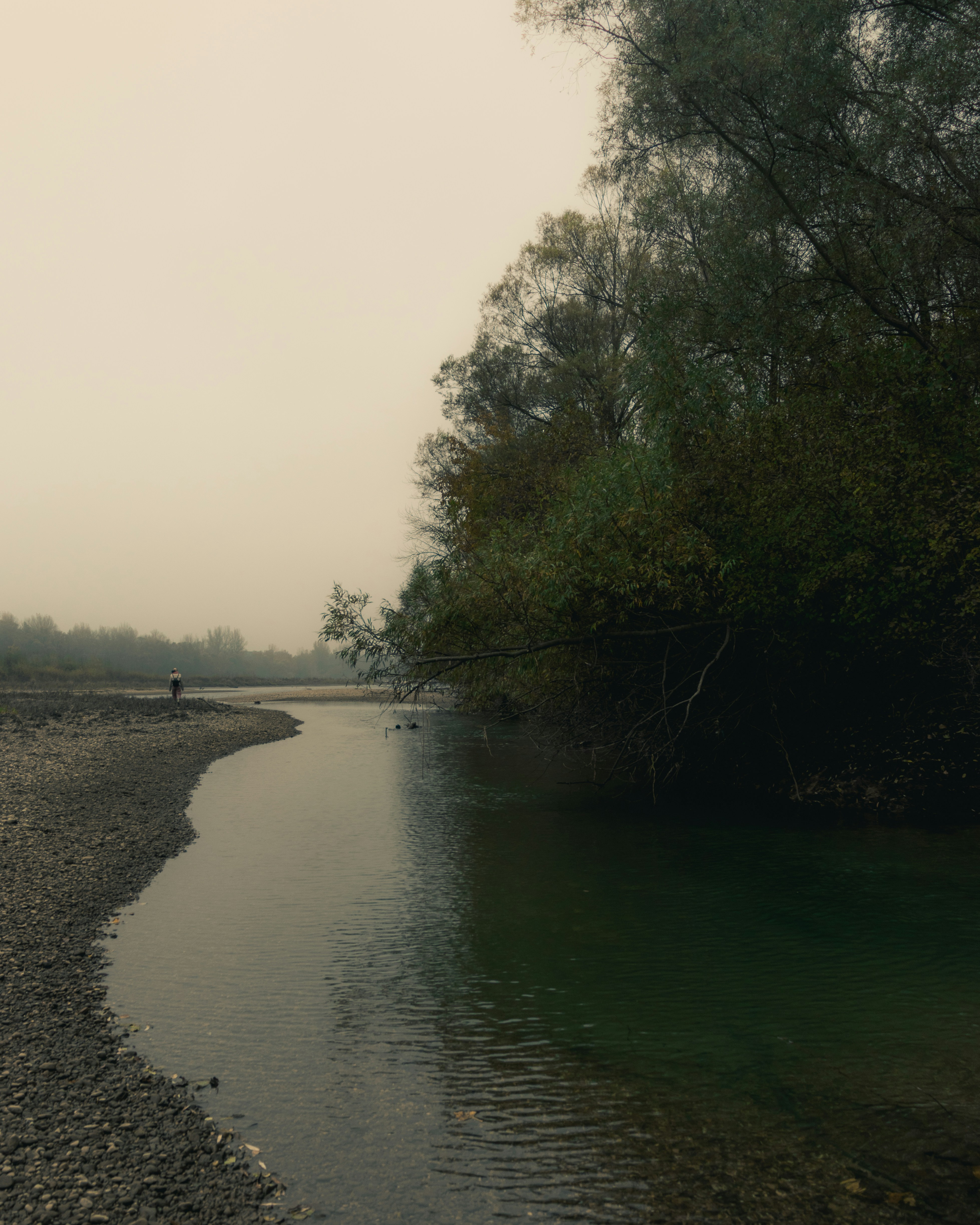 Lonely walk along the river