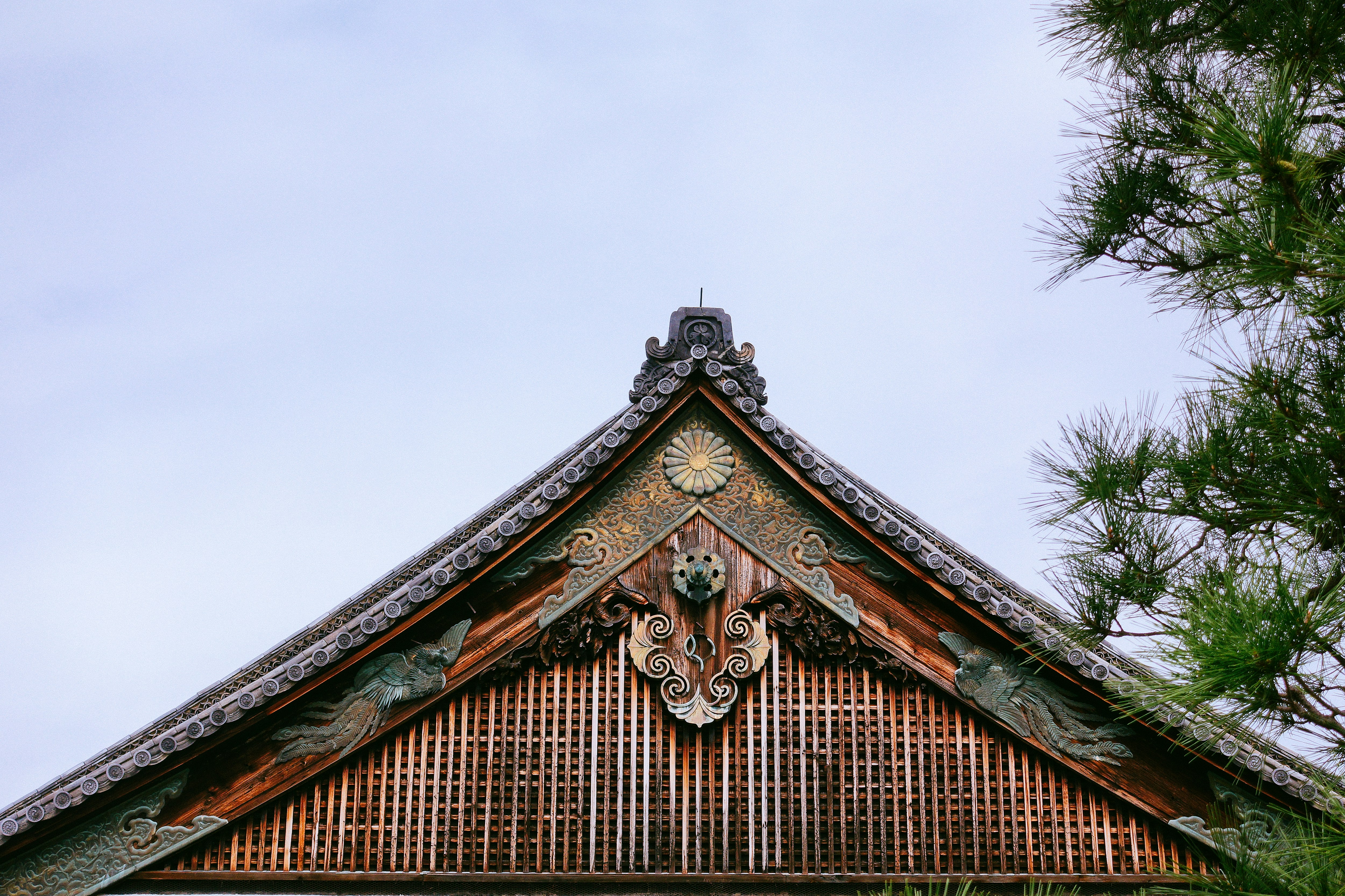 Photo by Leon Gao with Sony RX100 IV