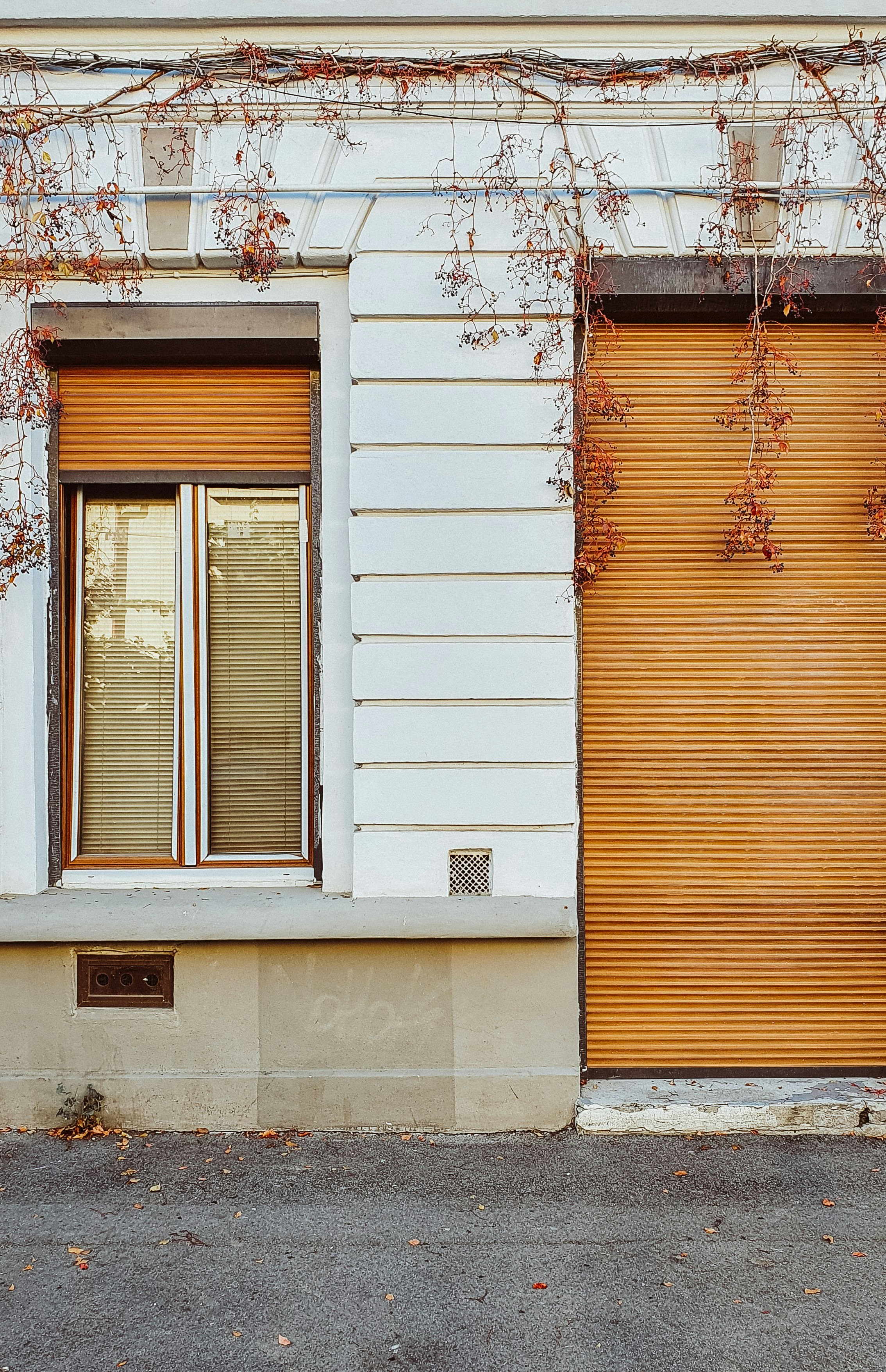 Ivied White Facade Framing a Window and a Golden Roller Shutter