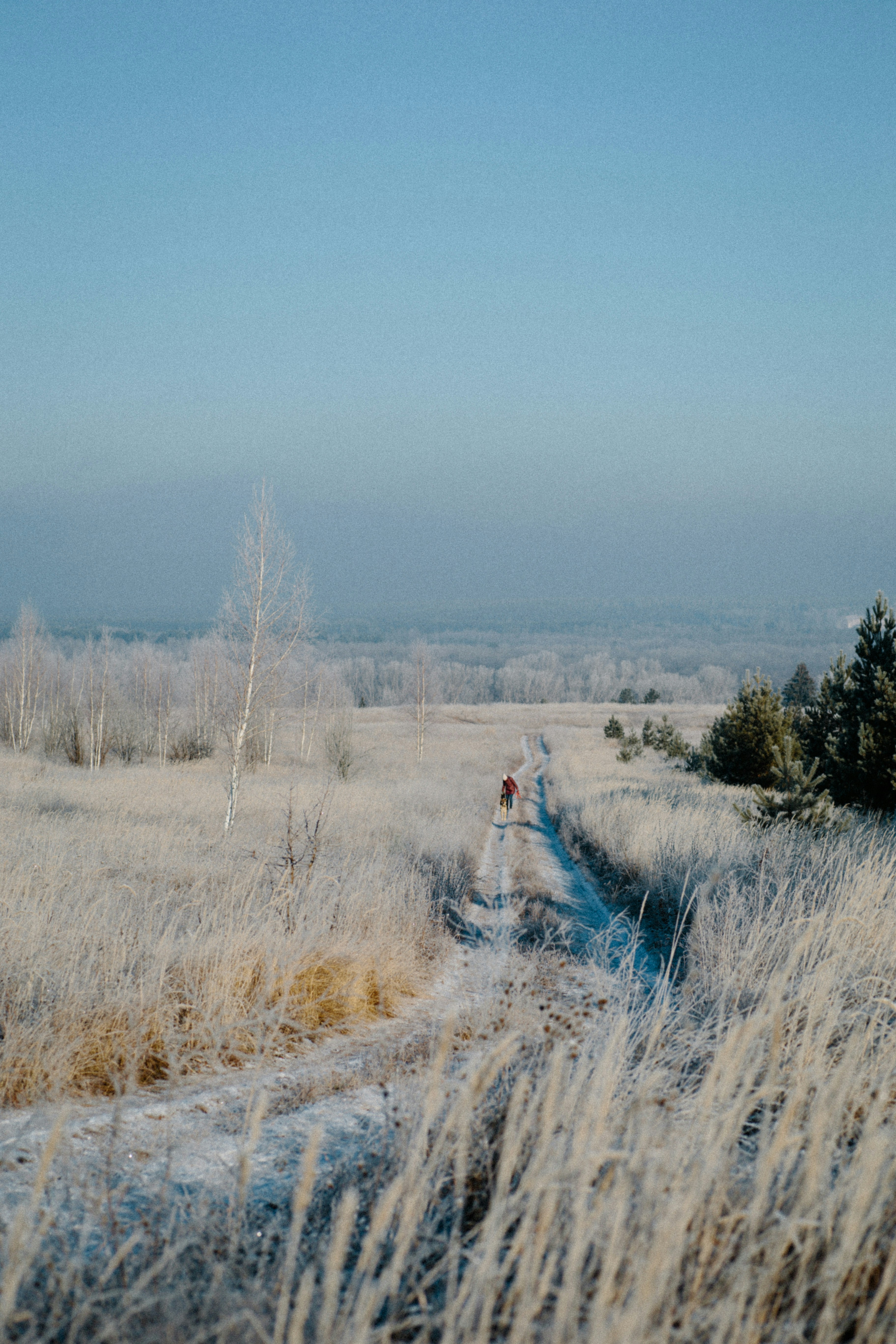 Solitary Red Figure Traversing a Frosted Prairie Path