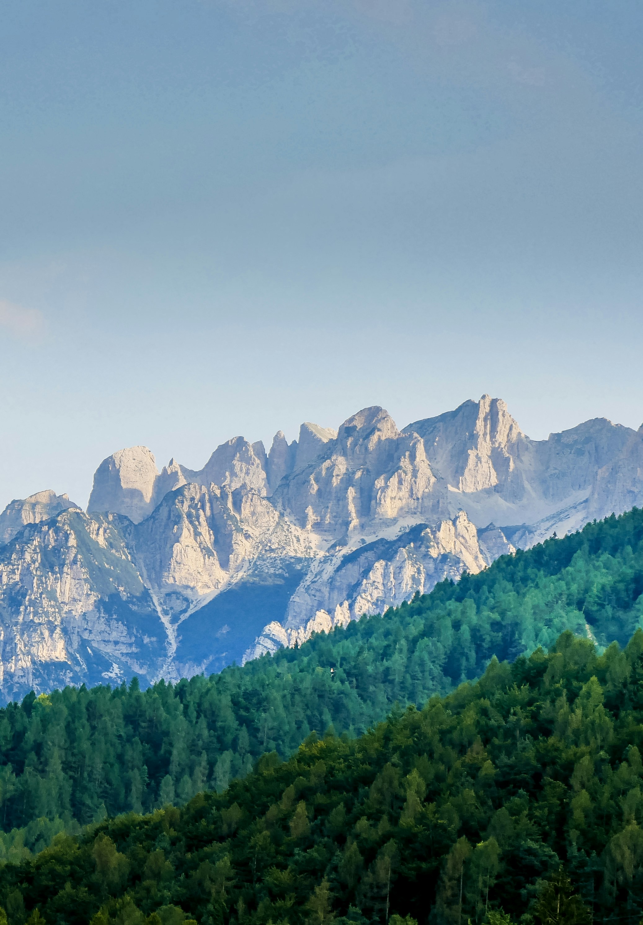 Mountain Tree Pictures | Download Free Images on Unsplash