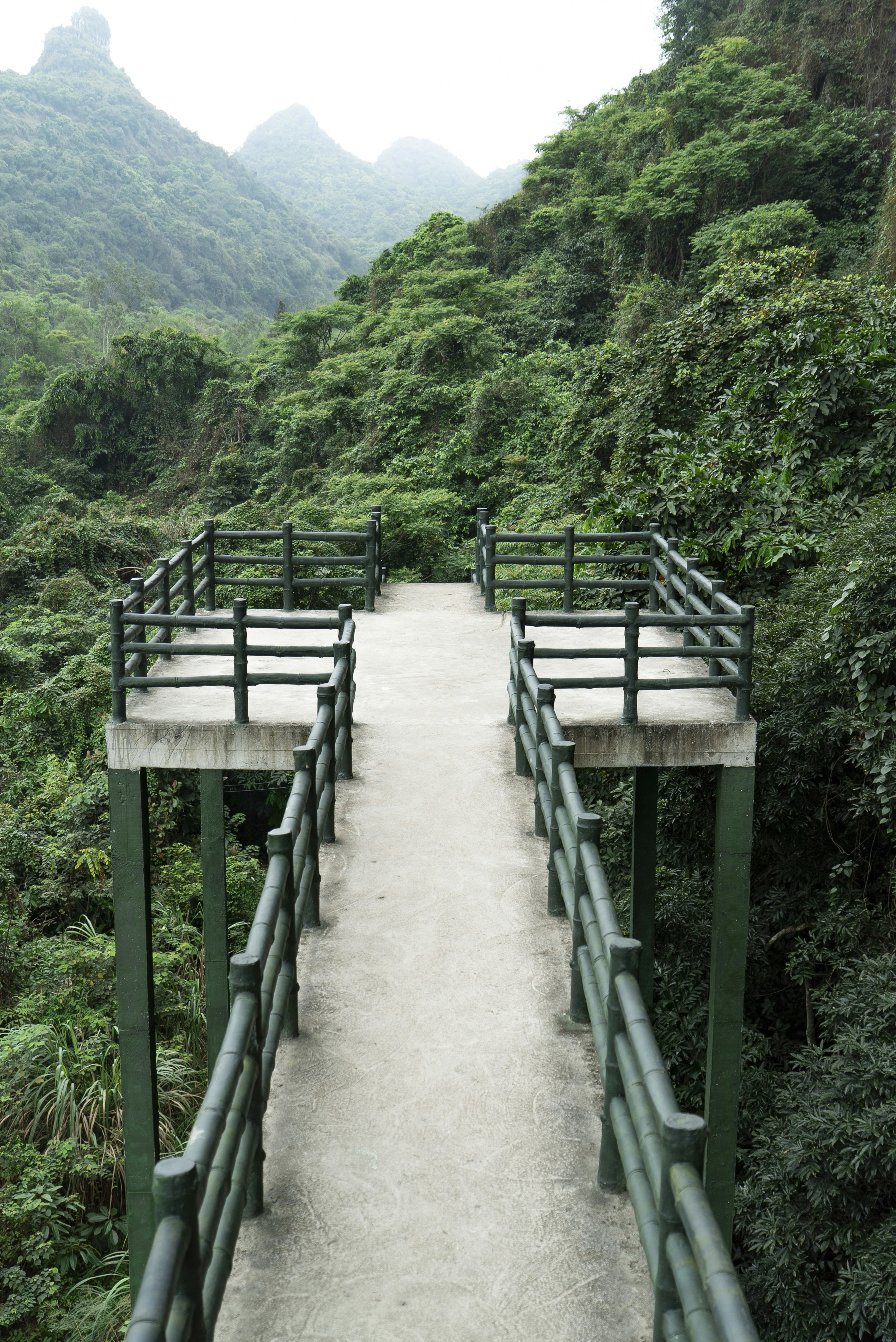 Nature's Overlook: A Bridge to Serenity