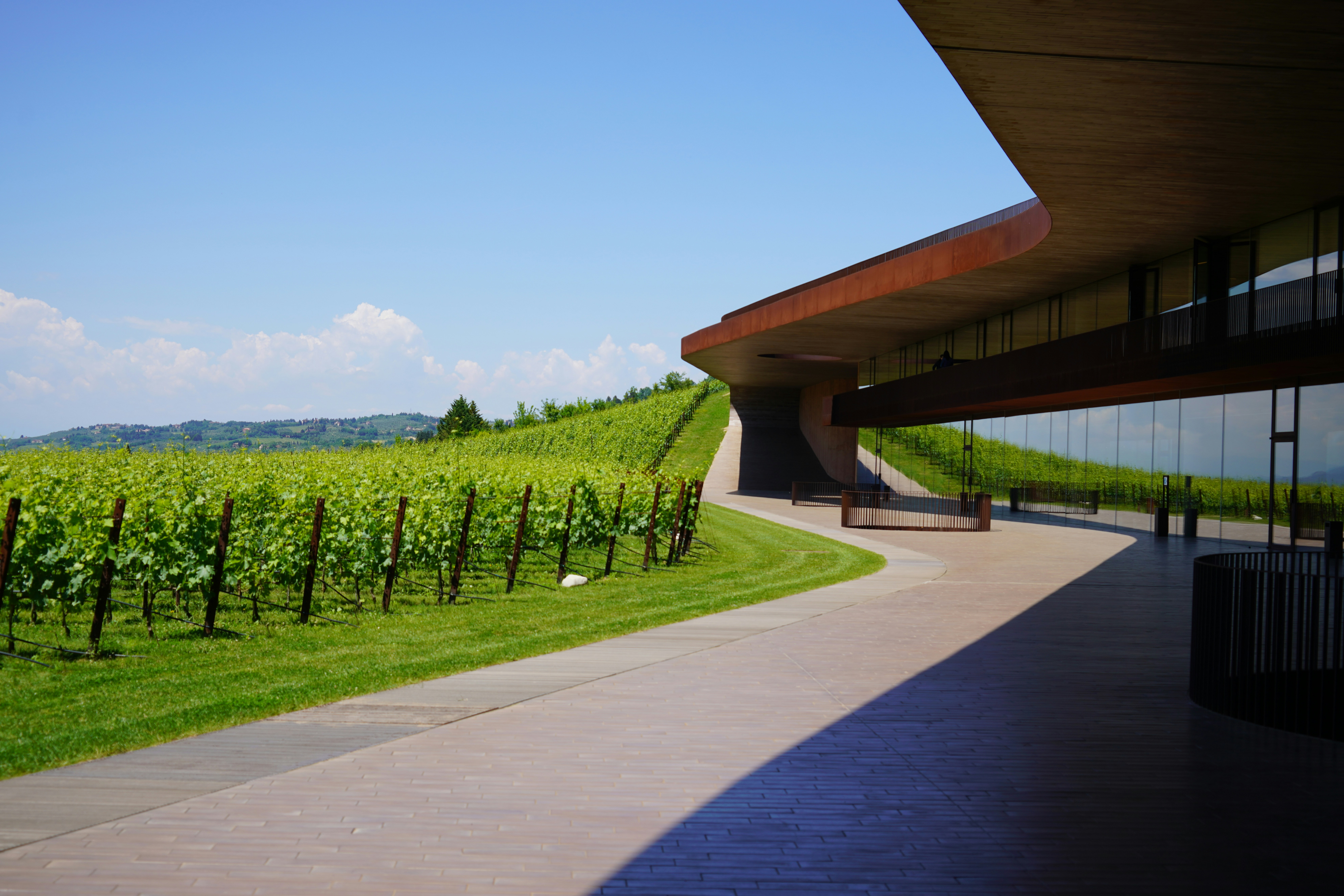 Museum Wing Overlooking the Vineyard: A Modern Sprawl by the Hillside