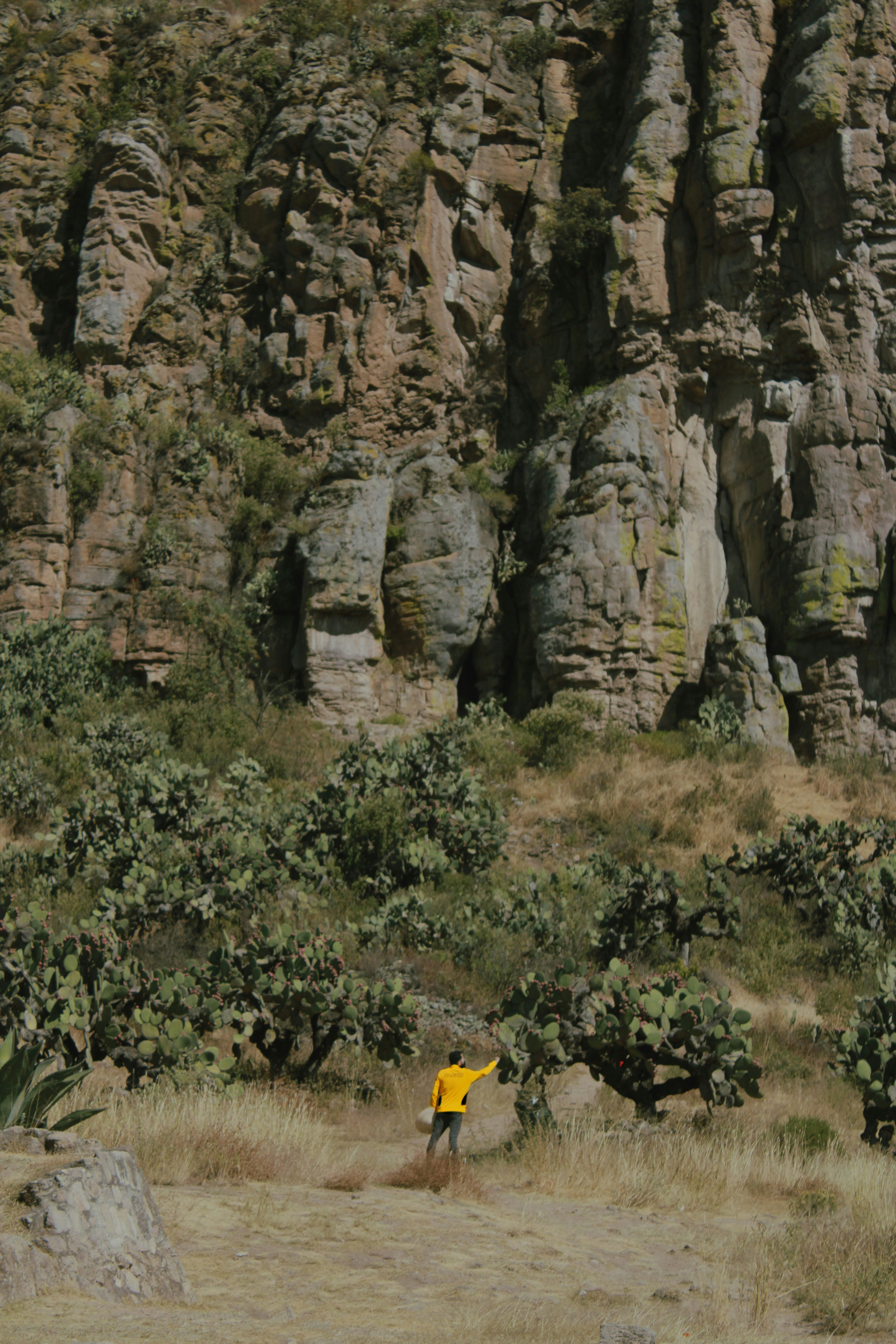 Yellow-clad wanderer threads through sunlit scrub beneath jagged cliff faces