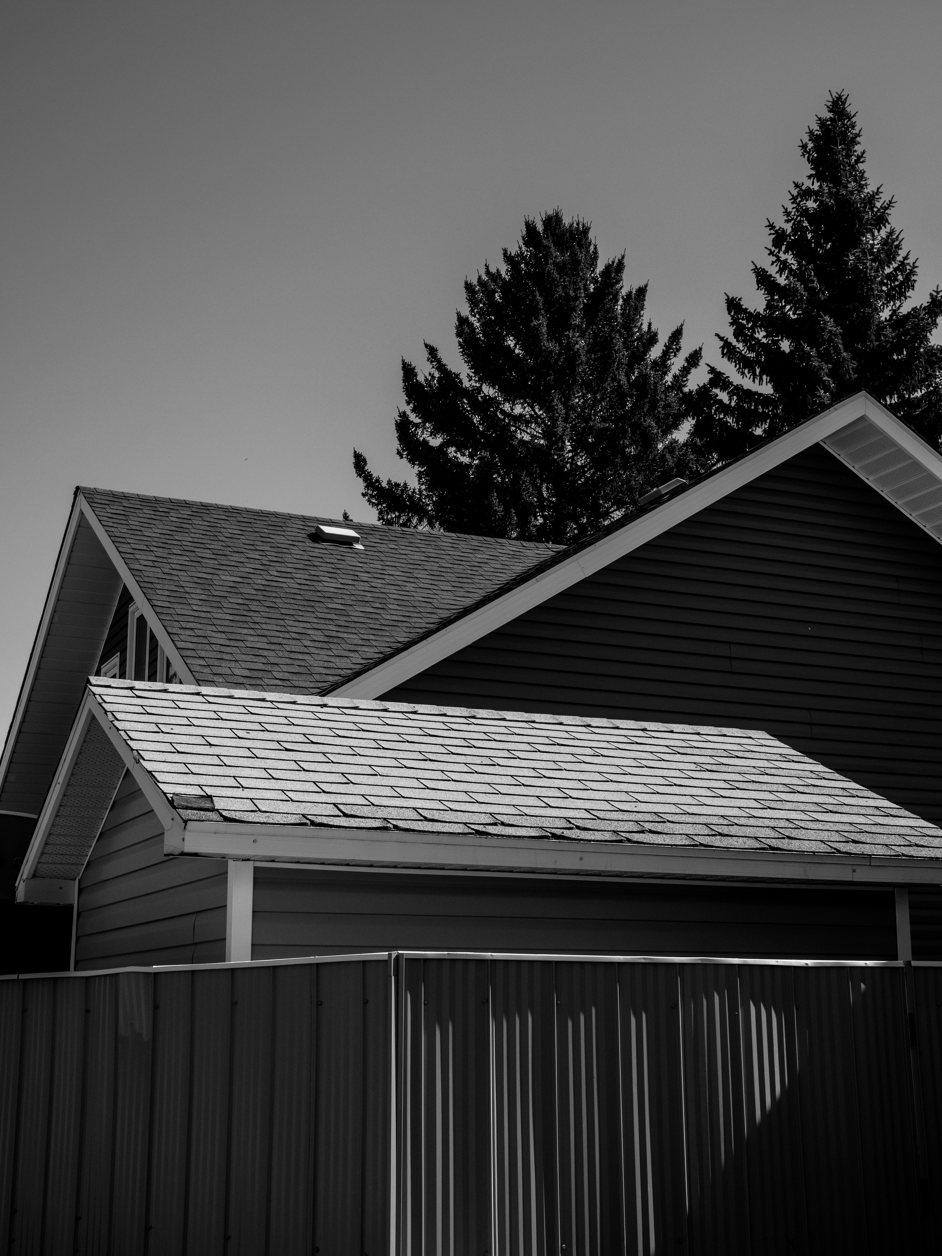 A modern house with a sloped roof and a backdrop of tall trees, captured in black and white, emphasizing geometric lines and textures.