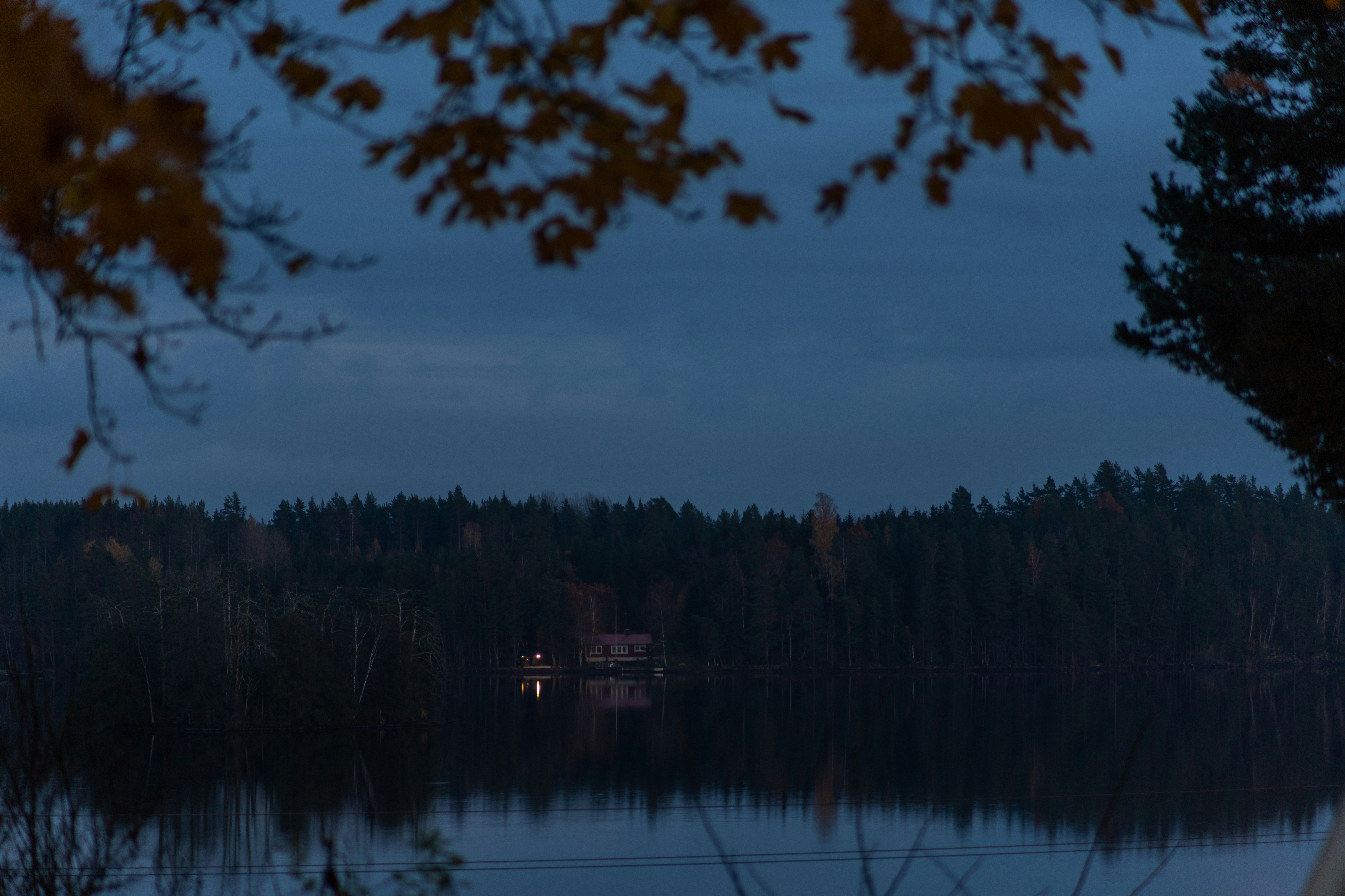 Dark lake reflecting a dimly lit forest under a cloudy evening sky.