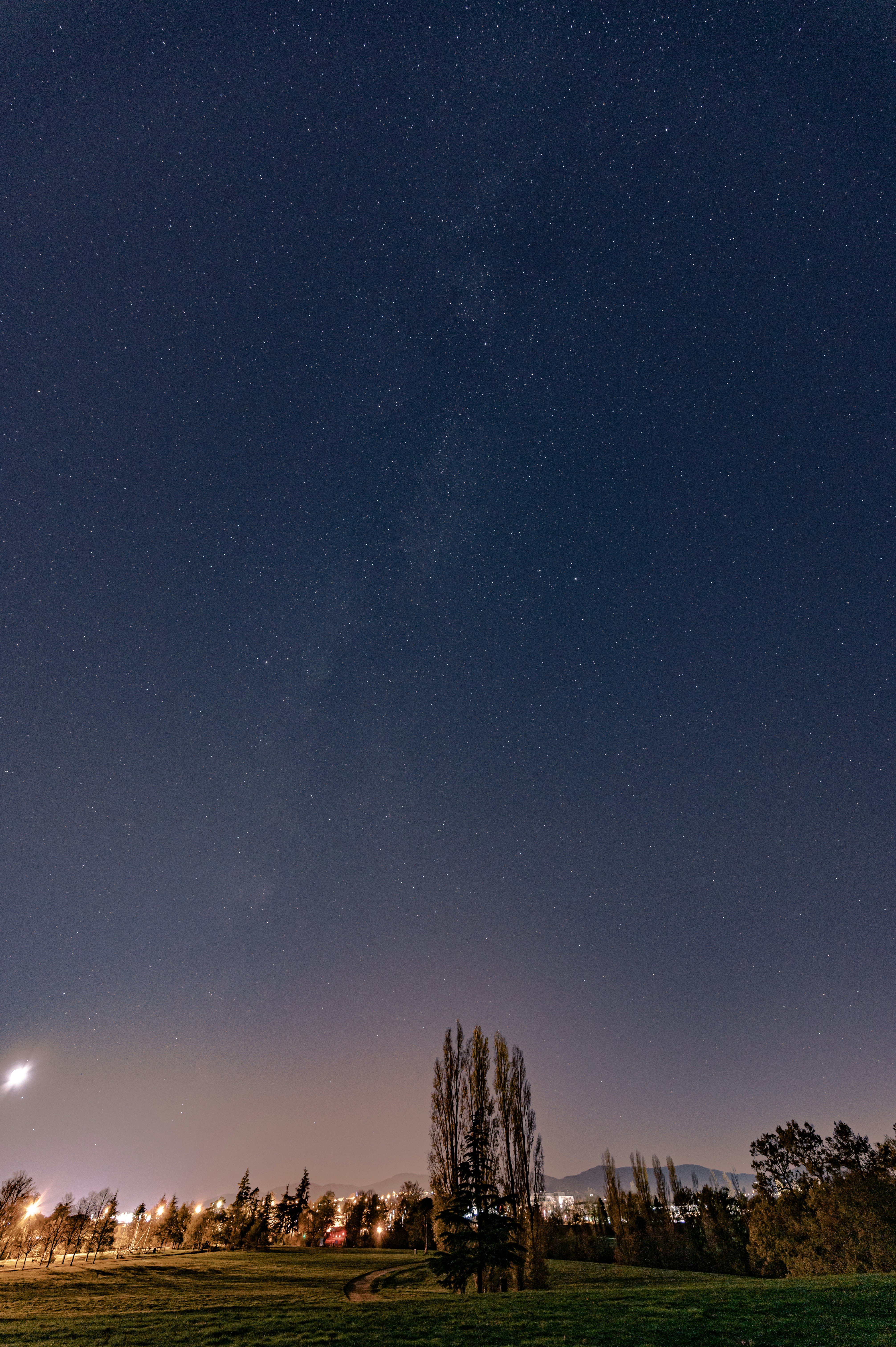 Milky Way Drapes Over a Quiet Park: Tall Poplars and Distant City Lights