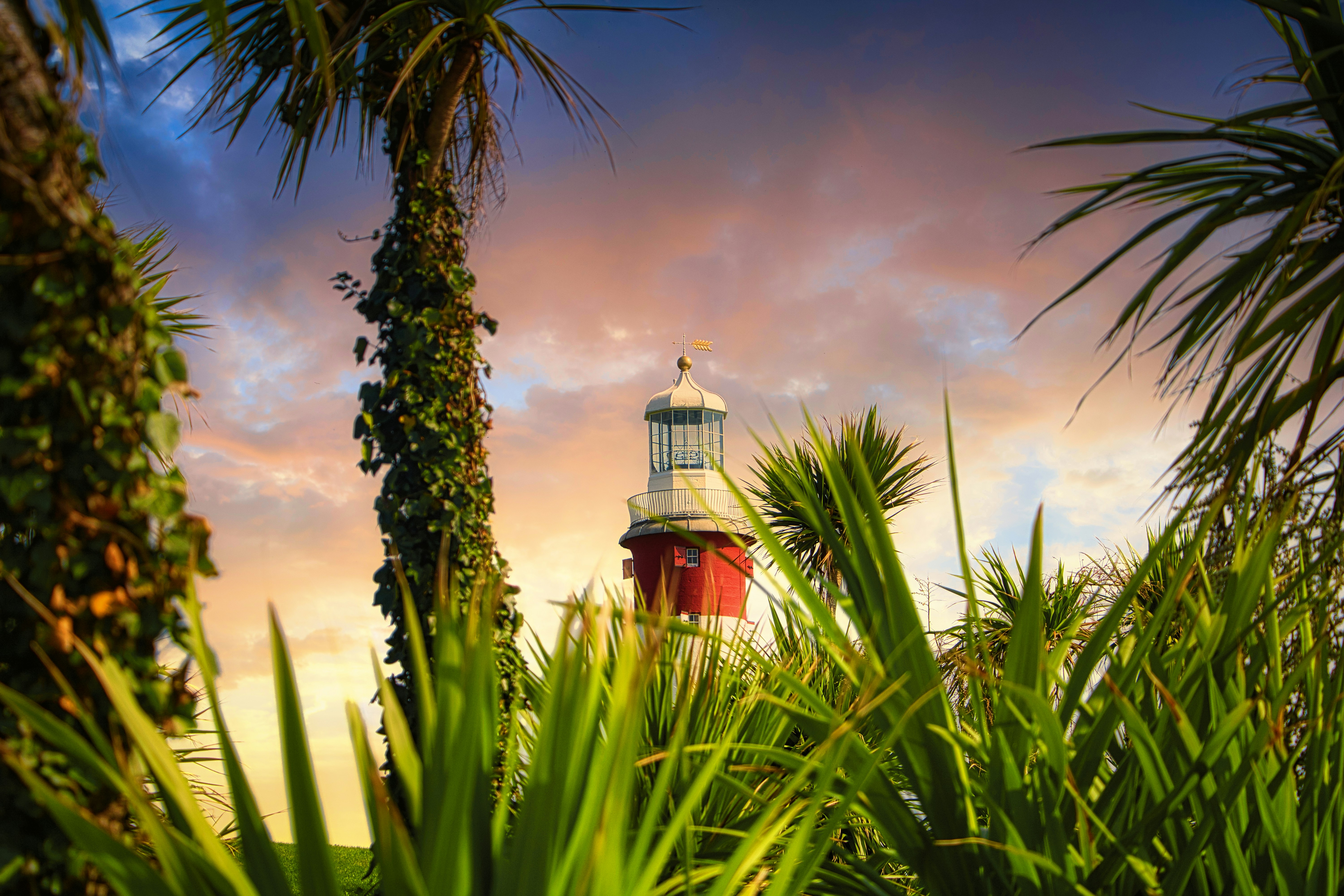 Lighthouse framed by lush palm trees under a vibrant sunset sky.