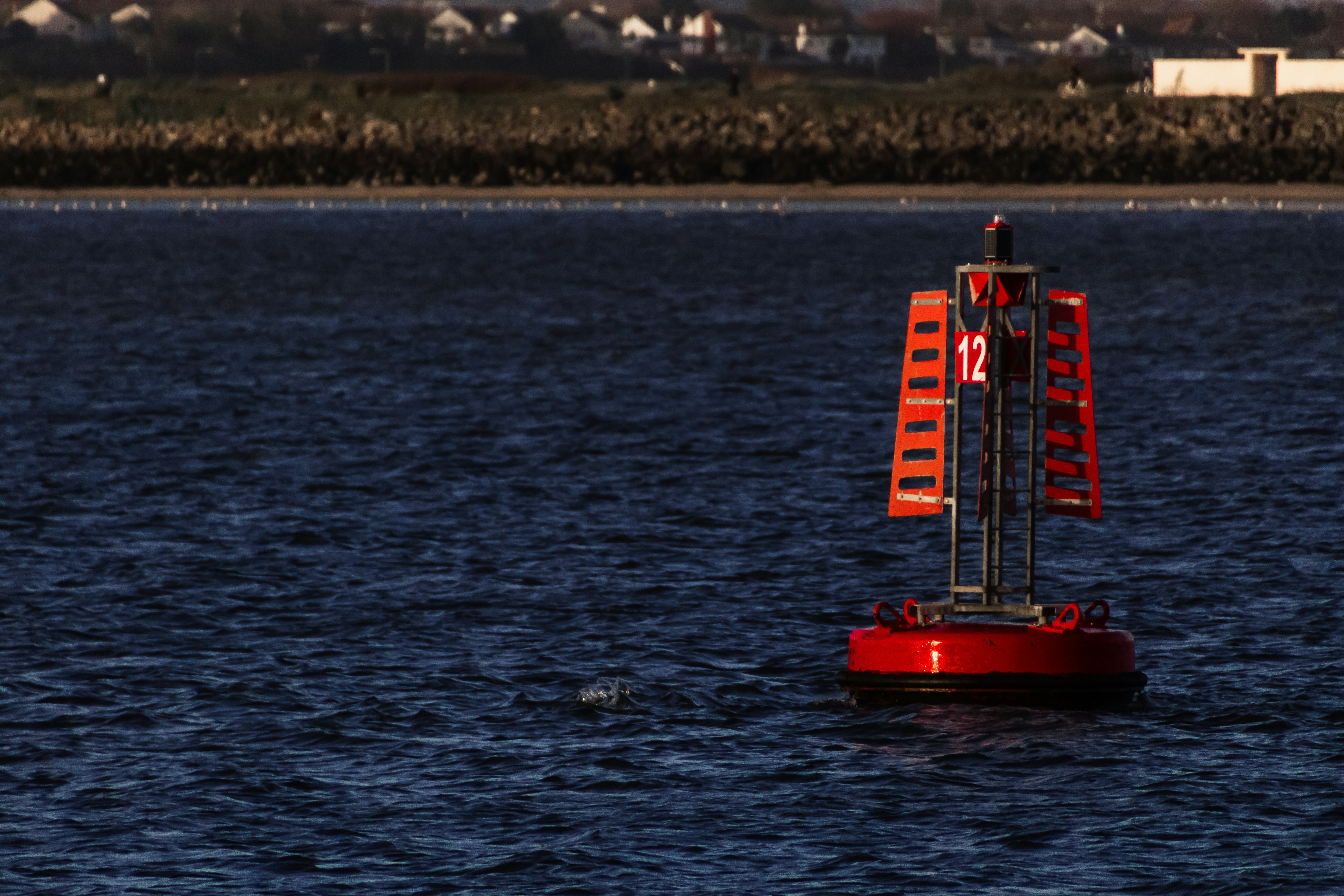 Red Sentinel: A Buoy Floats at Dusk in Quiet Waters