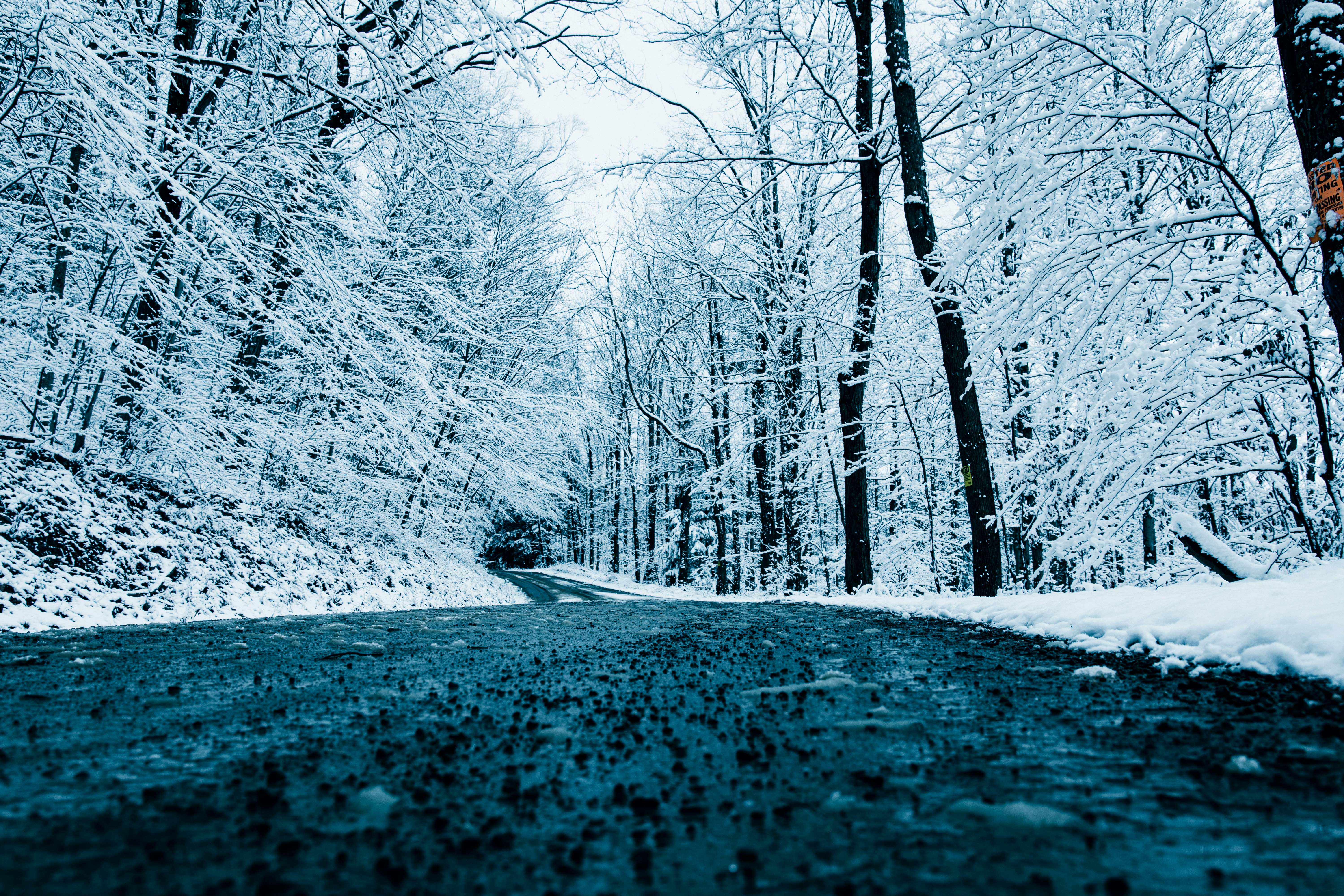 A serene winter scene featuring a snow-laden road flanked by frosted trees, evoking a sense of tranquility and solitude.