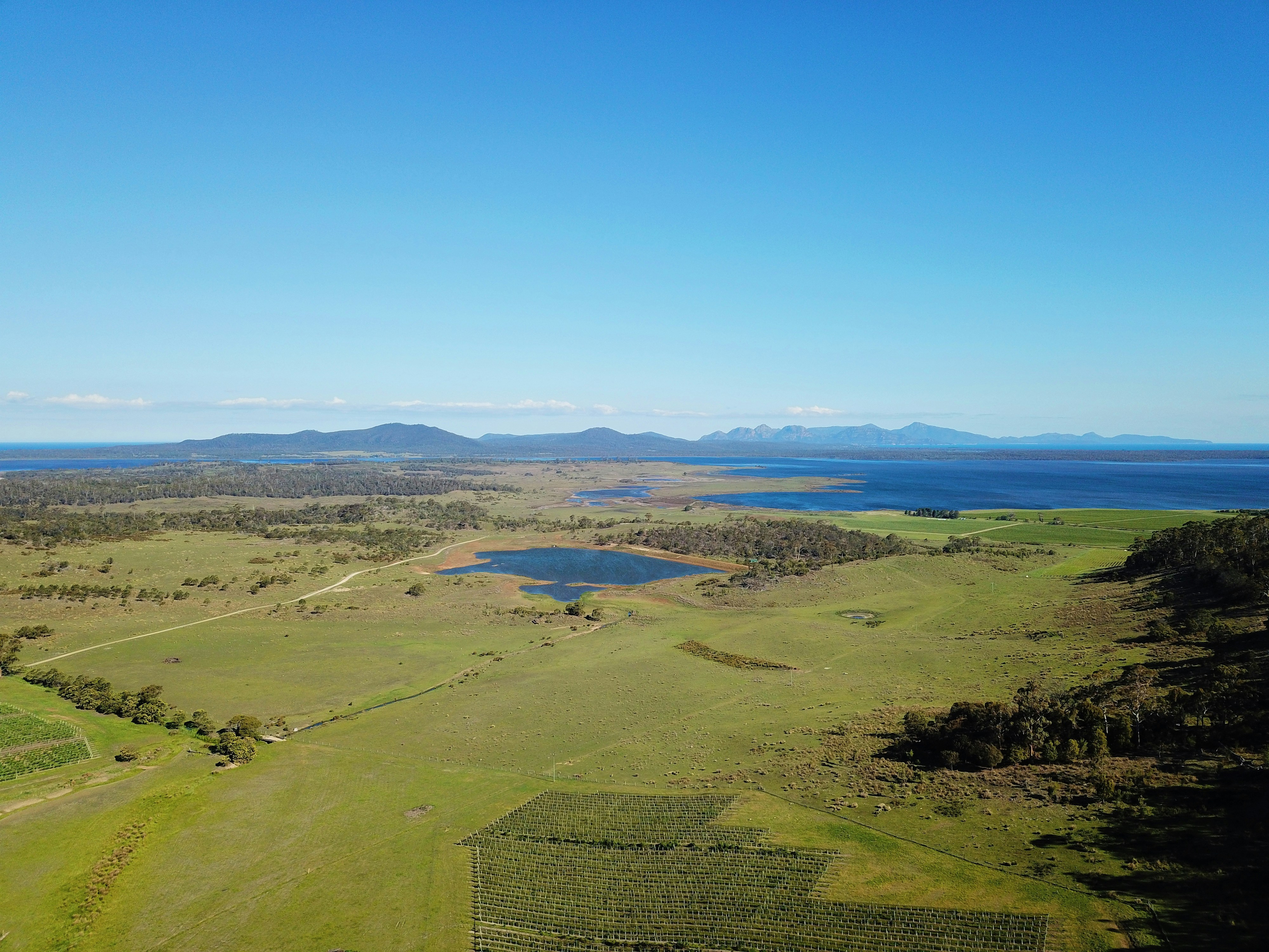 Green Mosaic: Inland Ponds and the Coastal Horizon