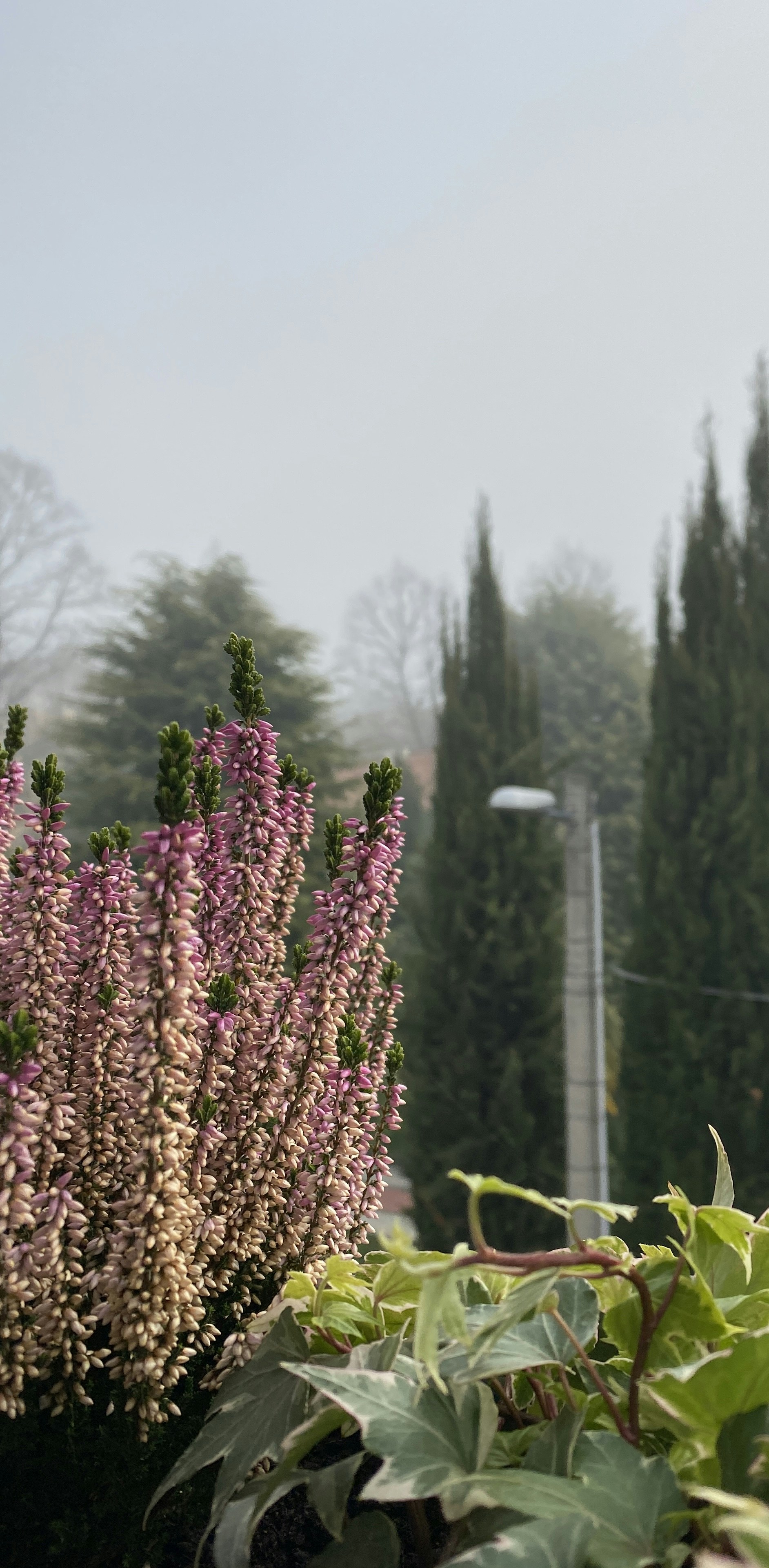 Giulio (@orfeo) | Communauté photos Unsplash