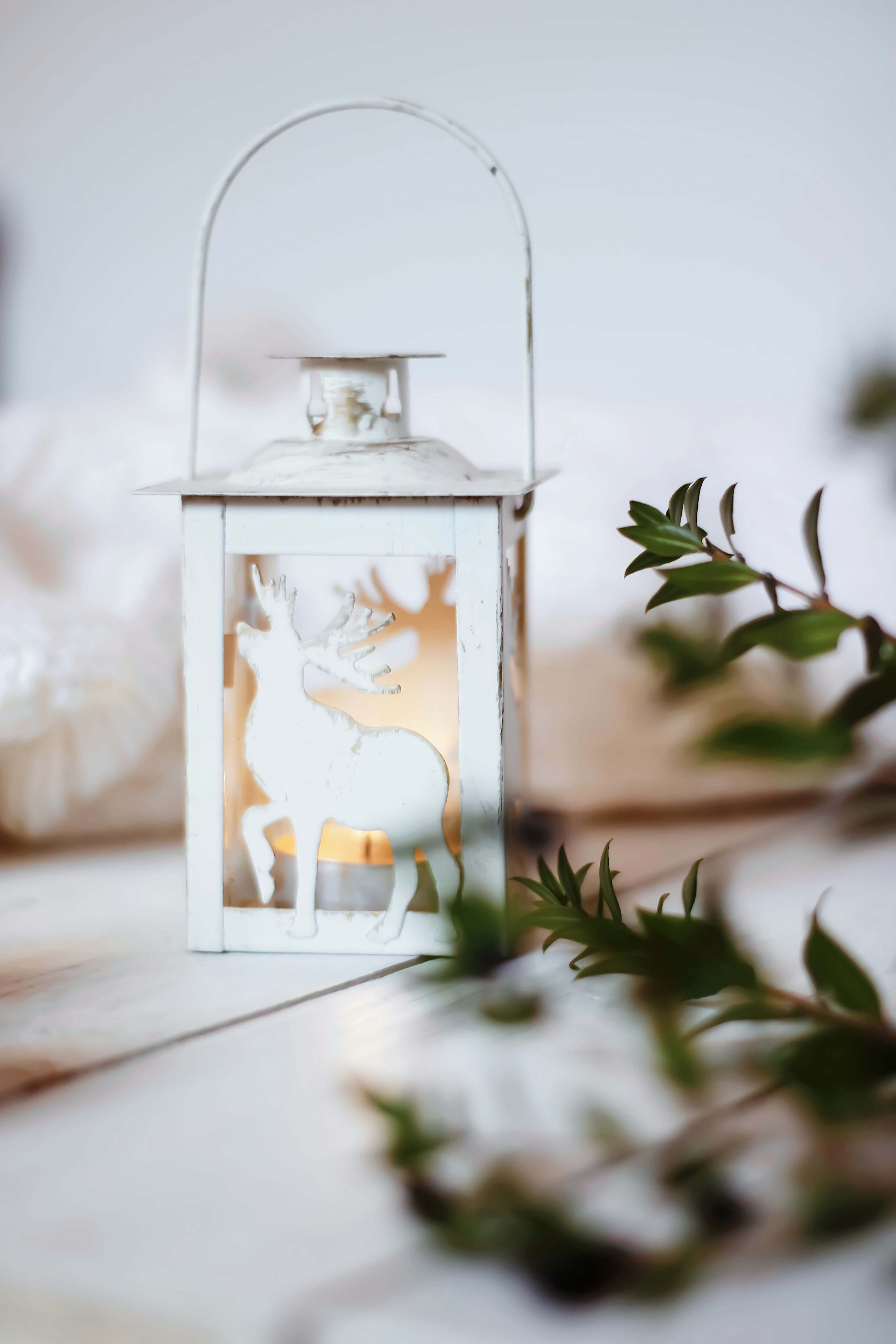 Winter Lantern with Moose Silhouette: Soft Glow Amid Fresh Greenery