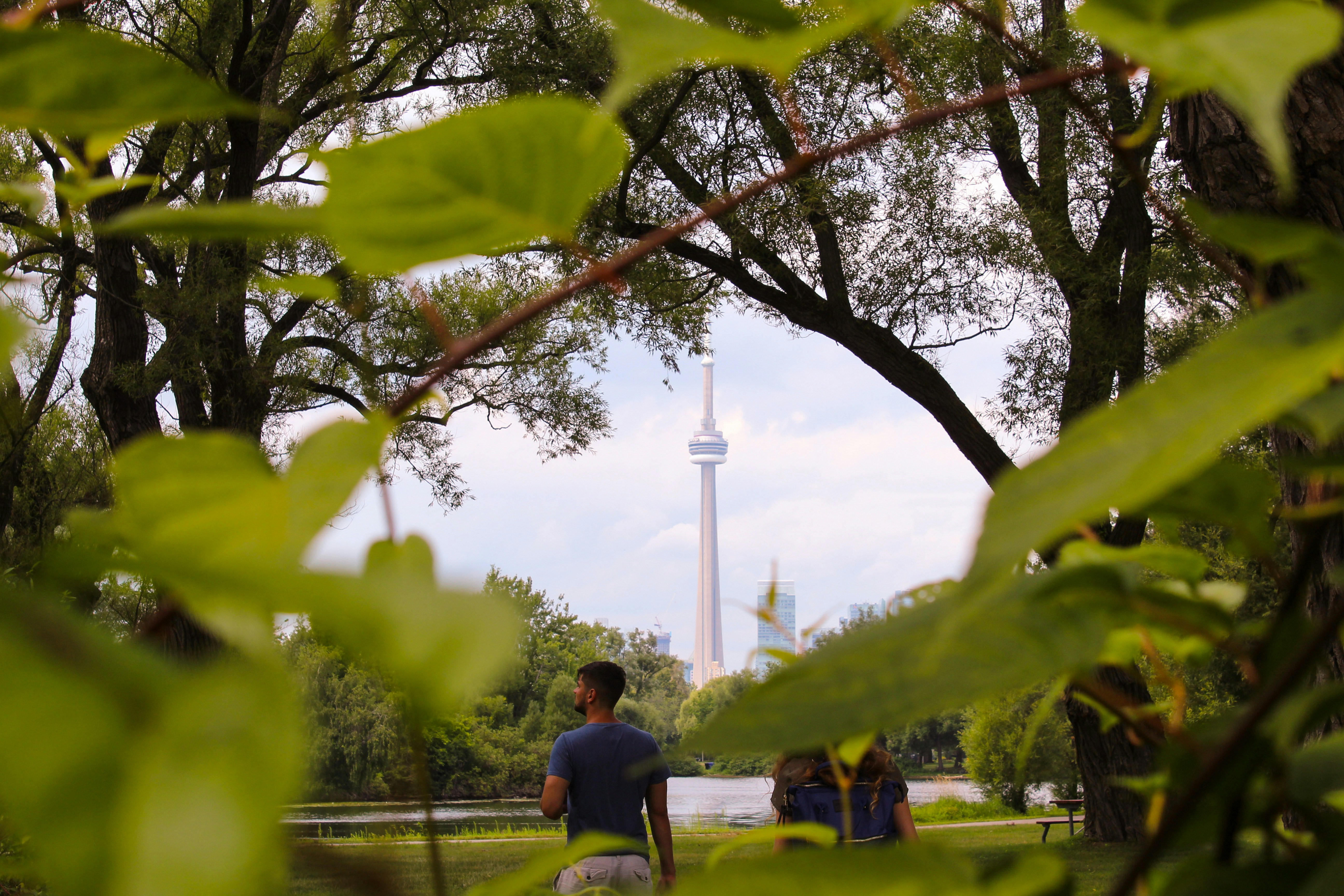 CN Tower rises above the greenery, framed by lush foliage, as two figures stroll by the water's edge.