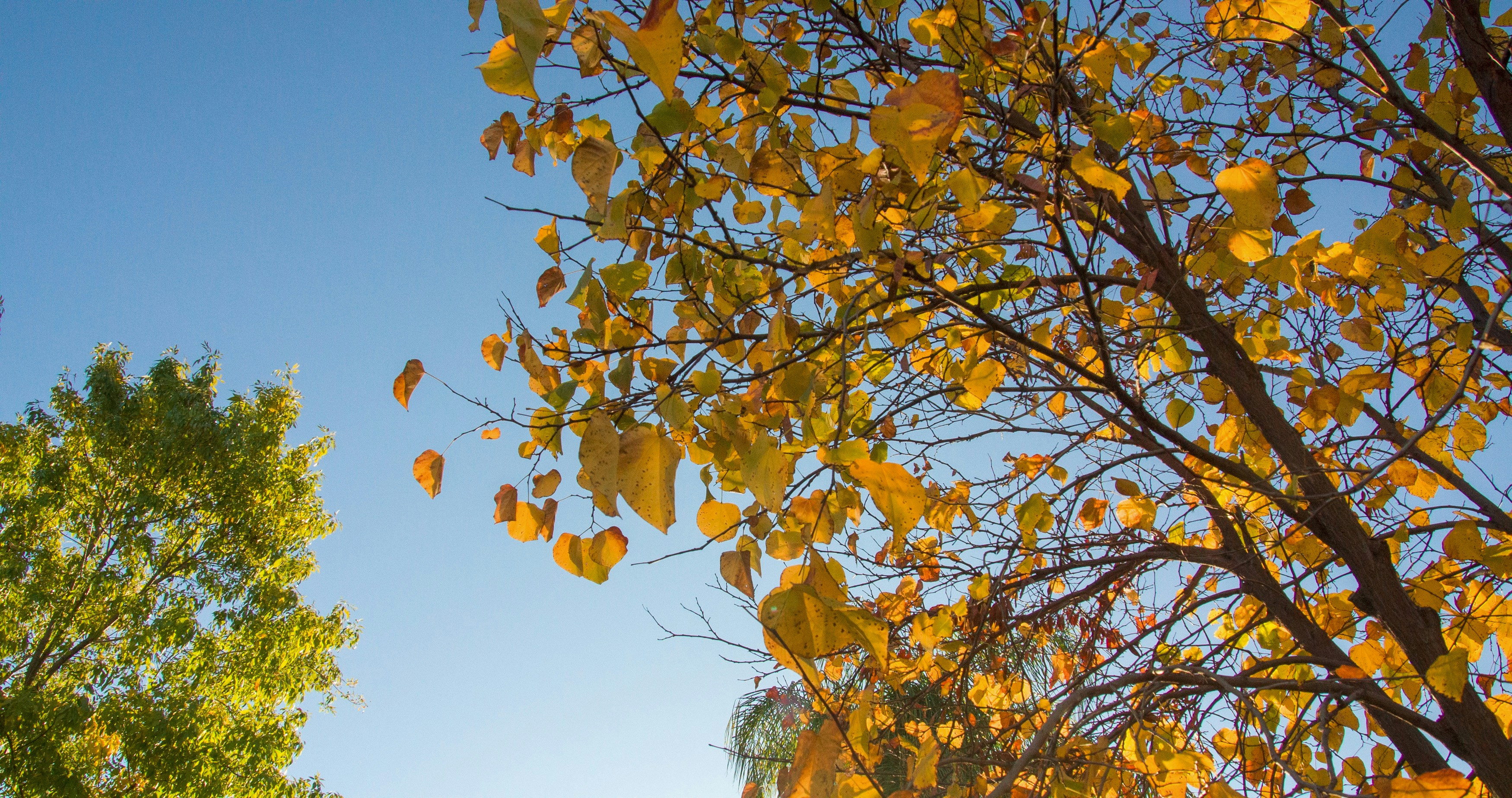 Best 500+ Noon Pictures | Download Free Images on Unsplash